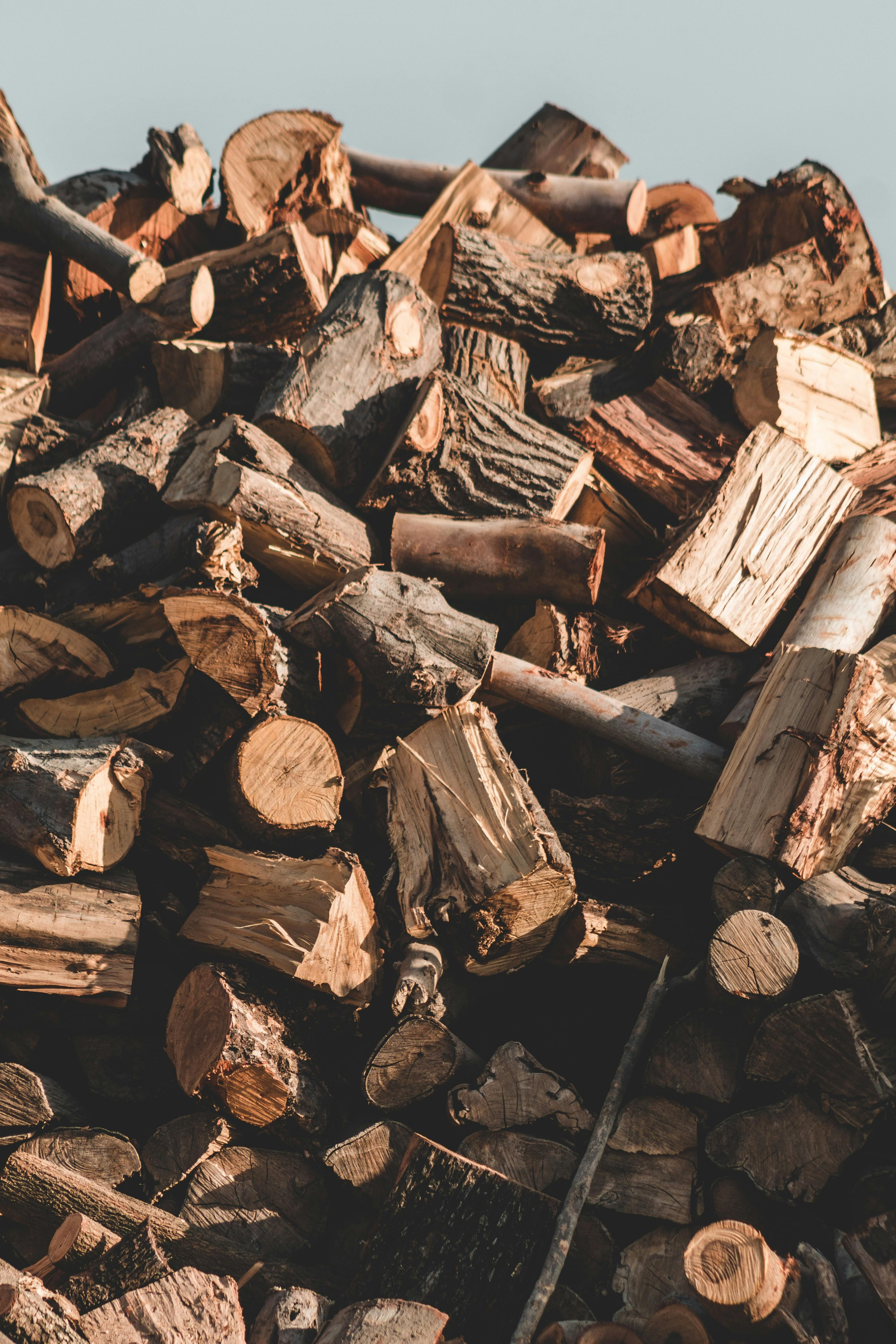 Brown Firewood · Free Stock Photo