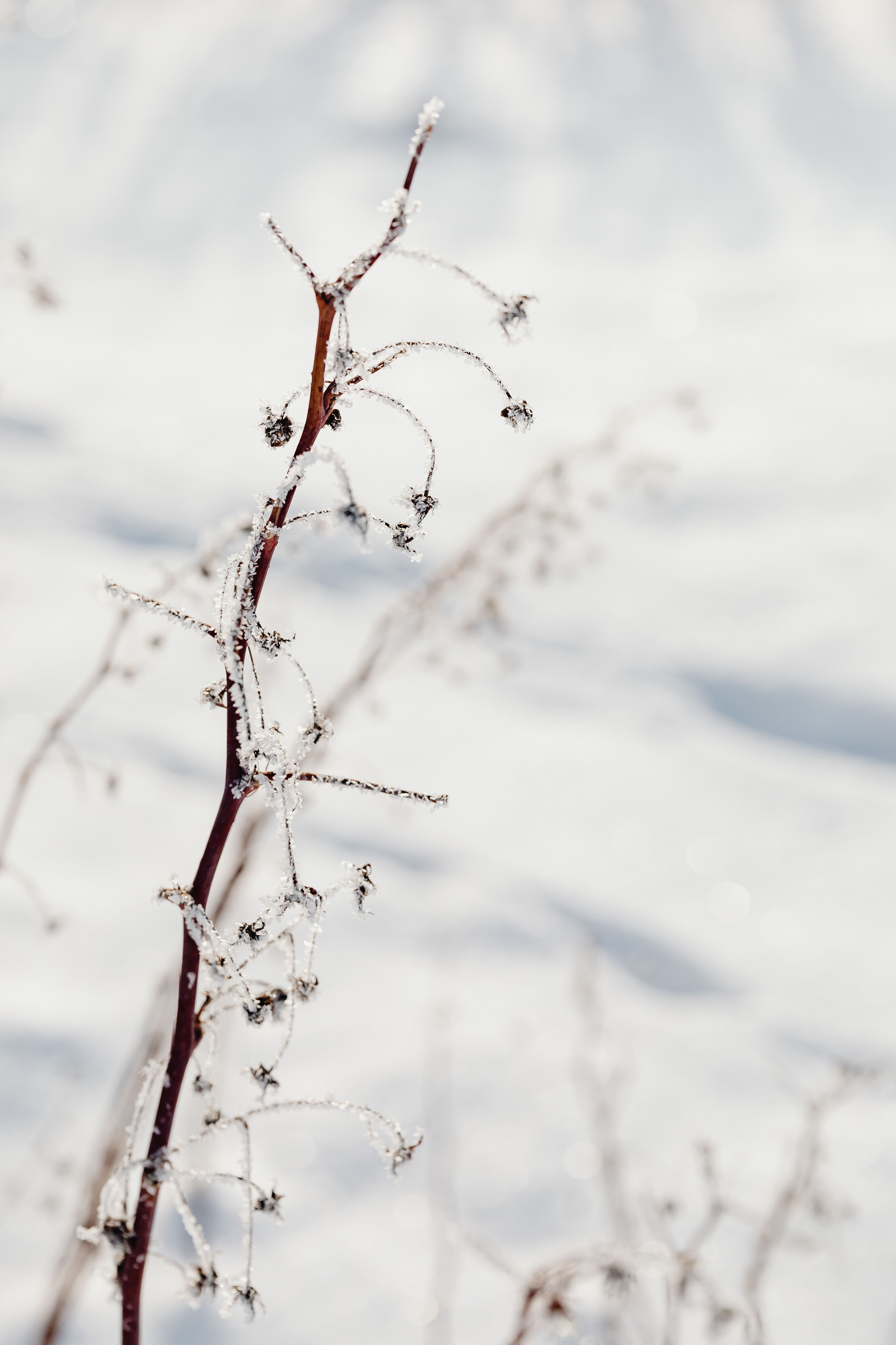 Simple Ice Background Photos, Download The BEST Free Simple Ice ...