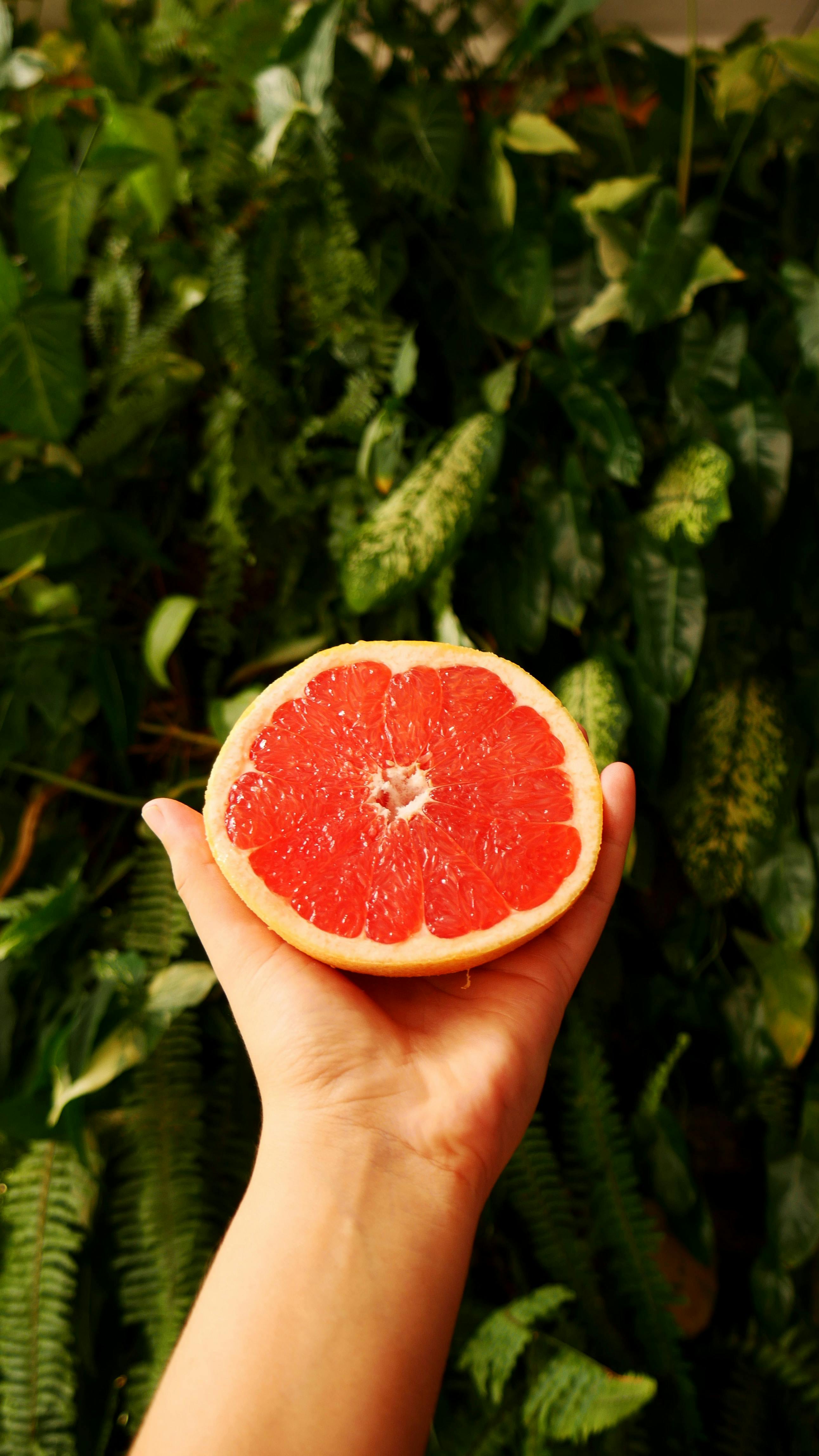 Person Holding Sliced Grapefruit · Free Stock Photo