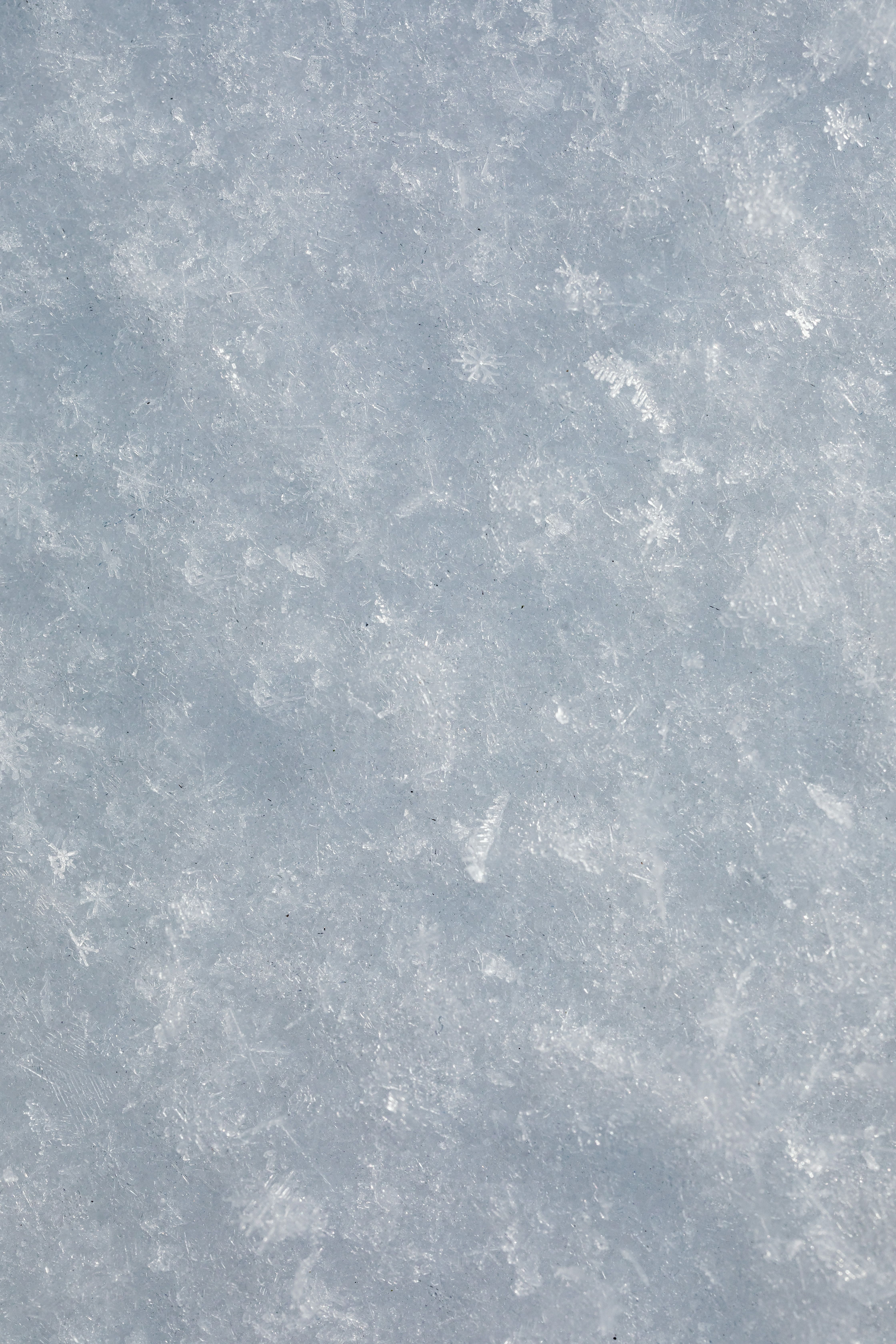 Close-up of Clear Frosty Snow · Free Stock Photo