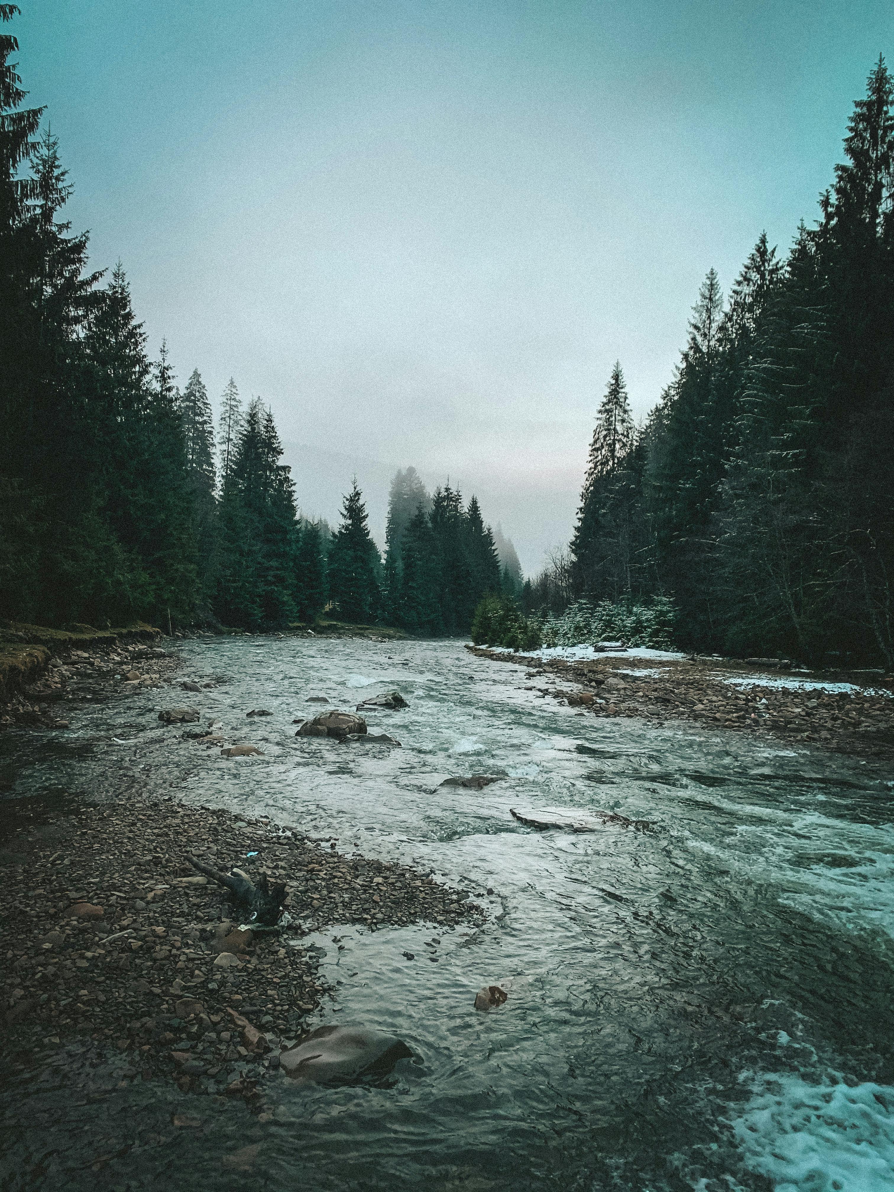 Water flowing on Stream · Free Stock Photo