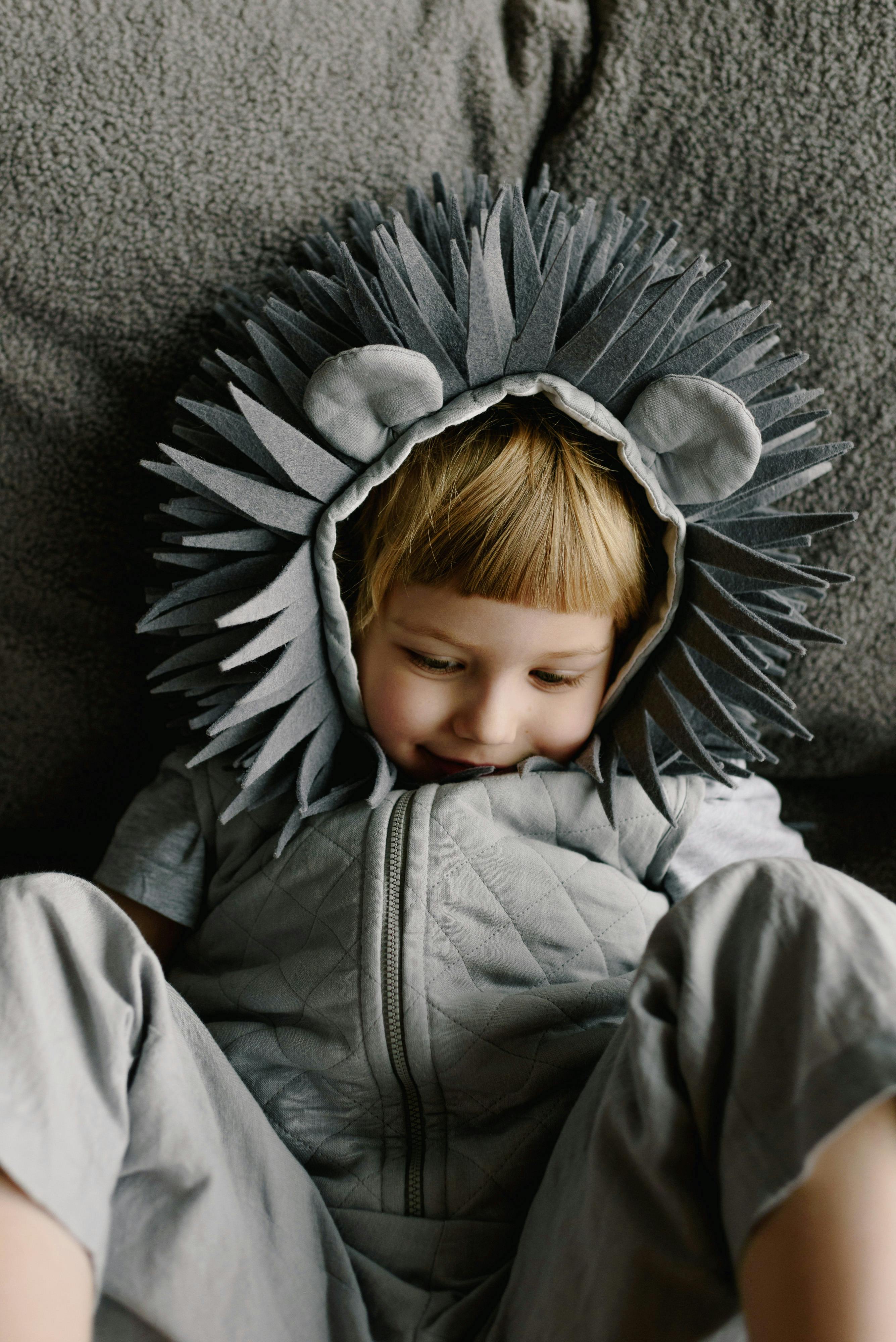 Lion Hood Photos, Download The BEST Free Lion Hood Stock Photos & HD Images