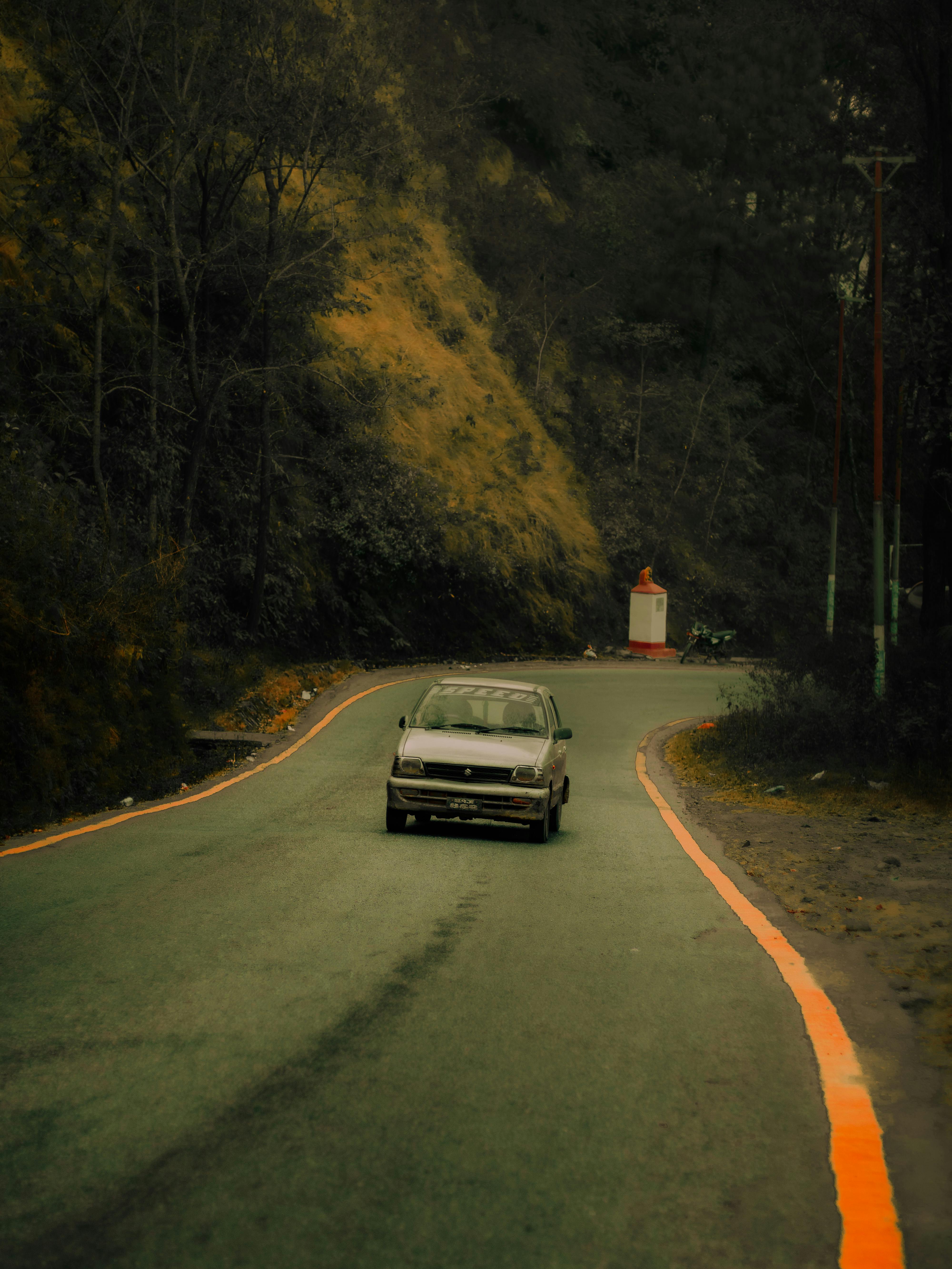 Roadway In Between Trees · Free Stock Photo