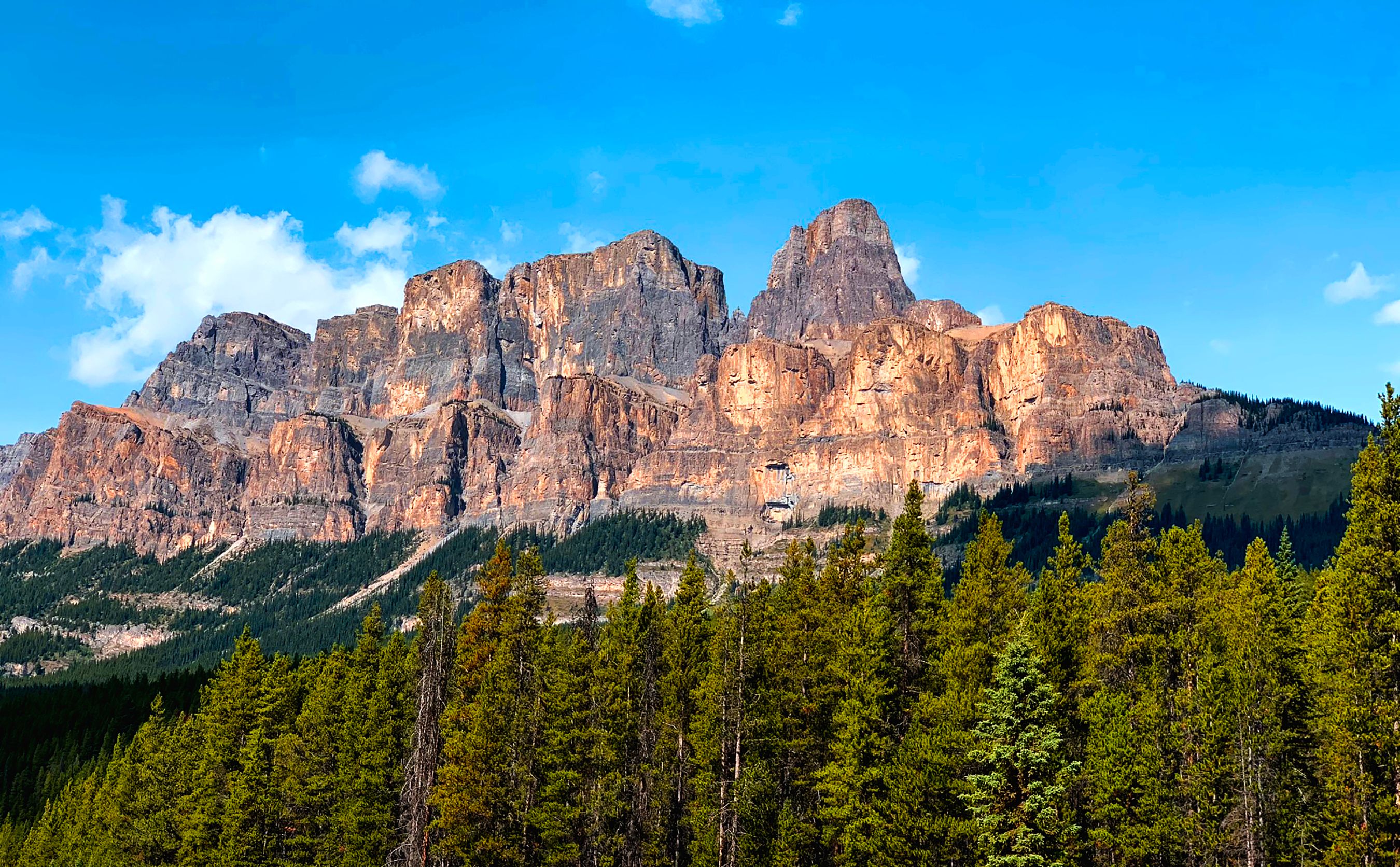 Rocky Mountains and Trees · Free Stock Photo