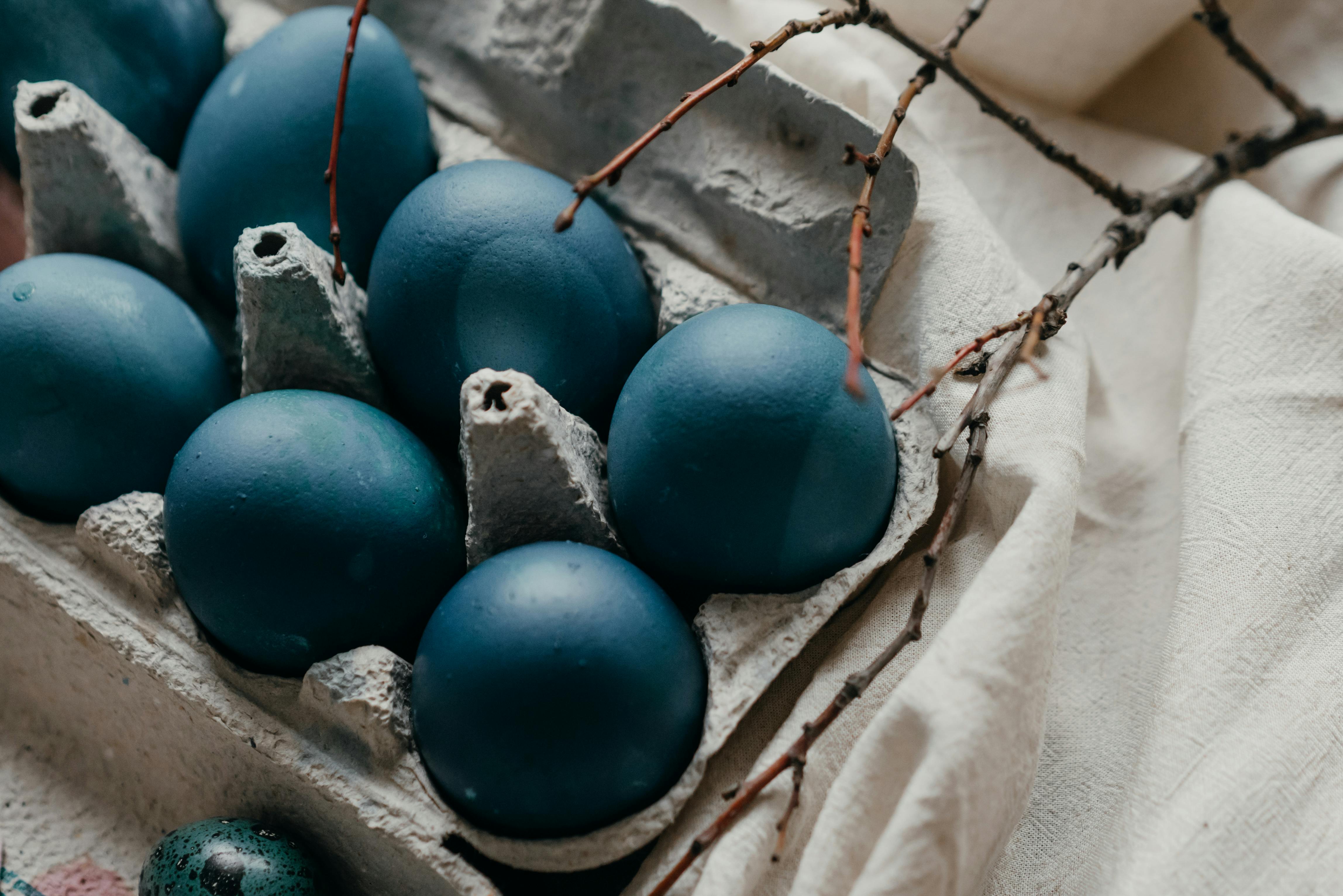 Close-up of Blue Eggs in an Egg Tray · Free Stock Photo