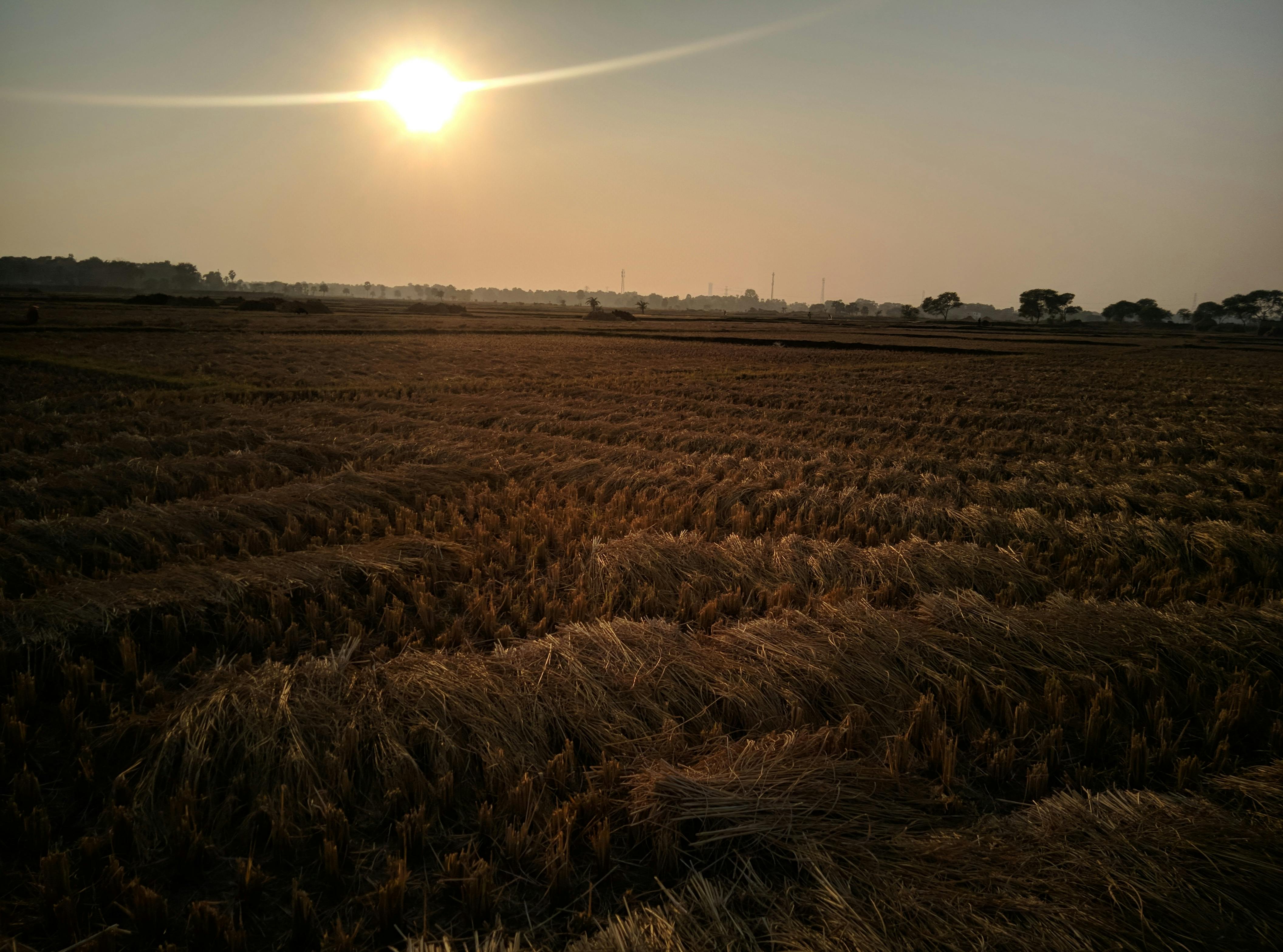 Vinit – Fotografie