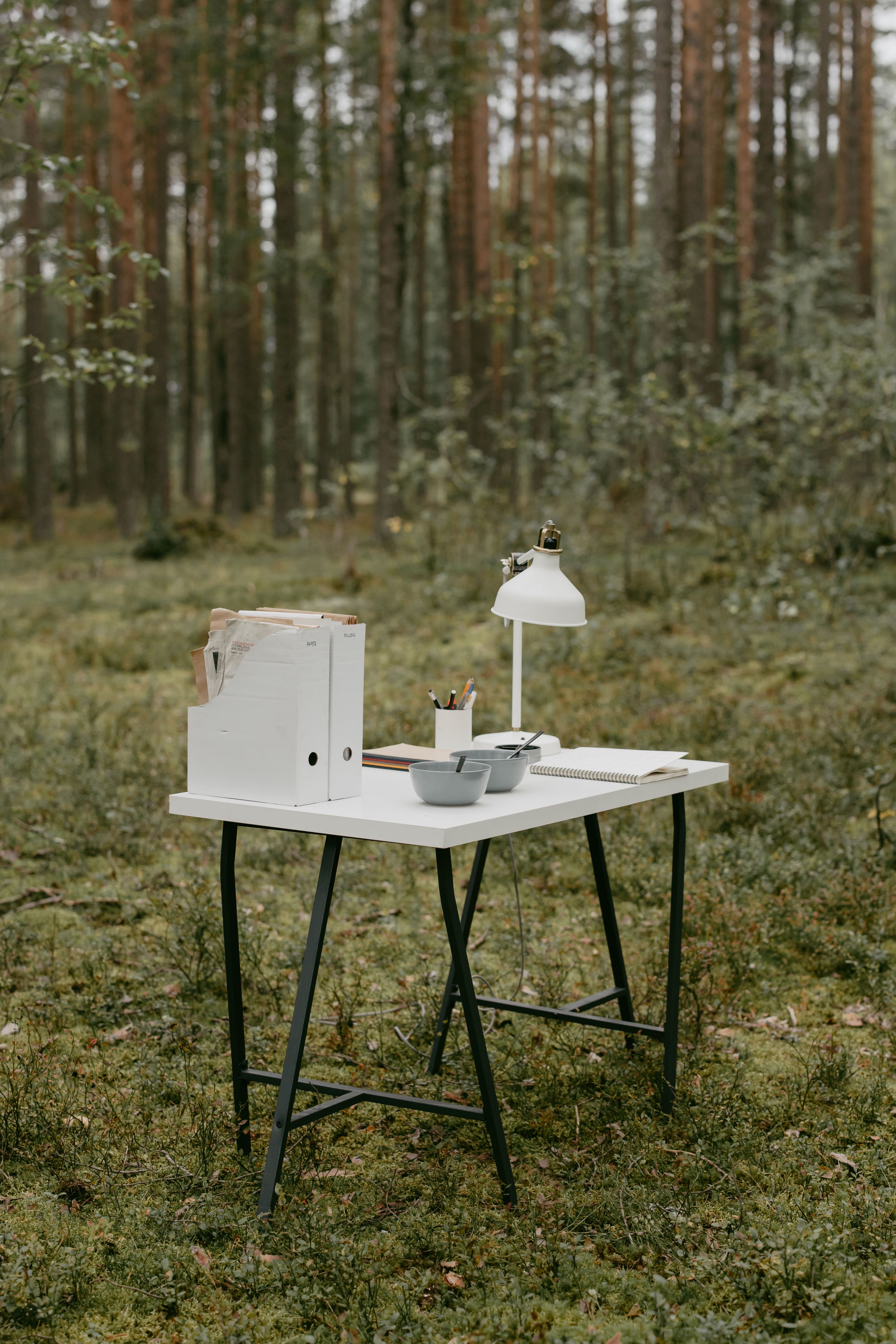 White Table in the Forest · Free Stock Photo