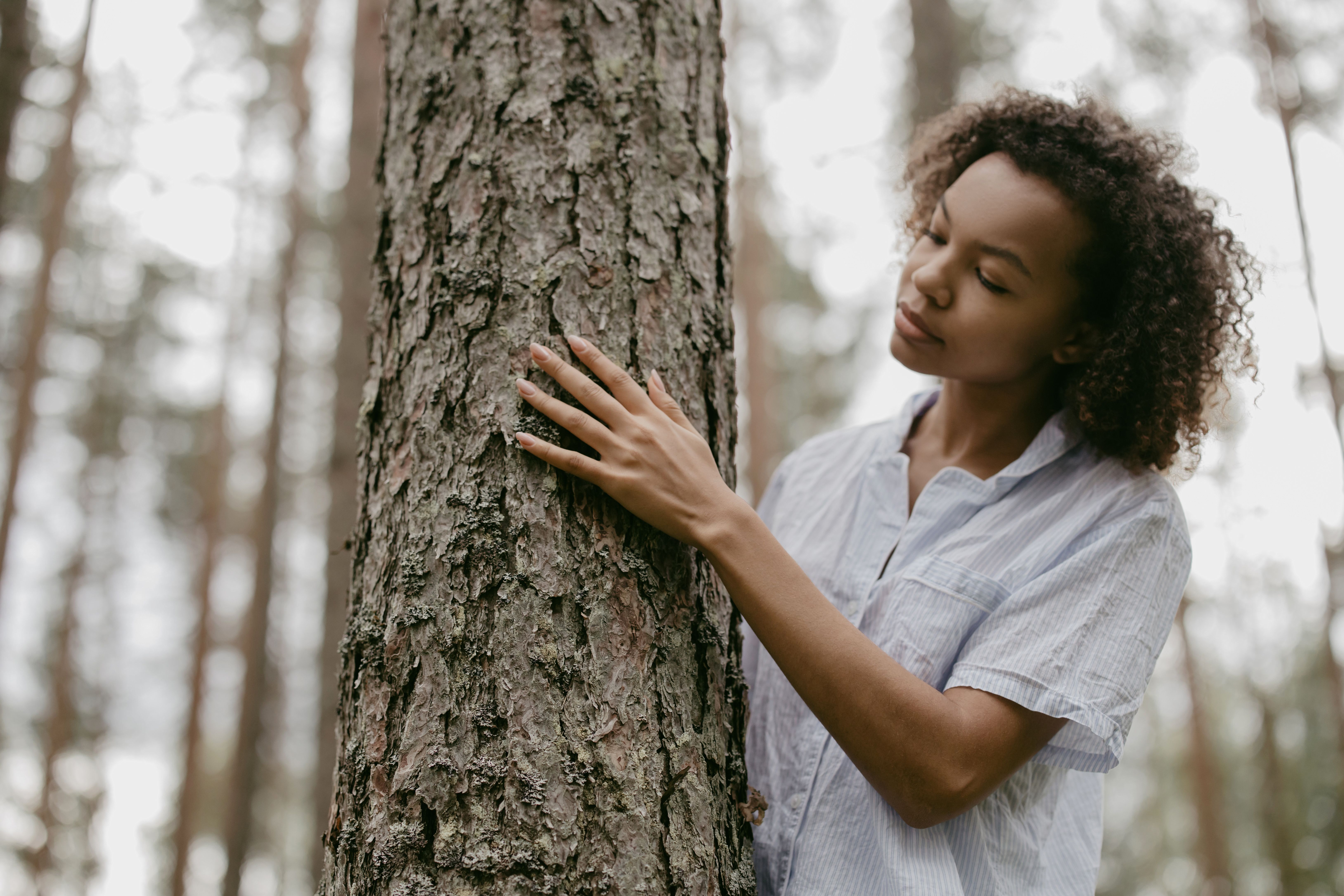 Woman Touching Tree Photos, Download The BEST Free Woman Touching Tree ...
