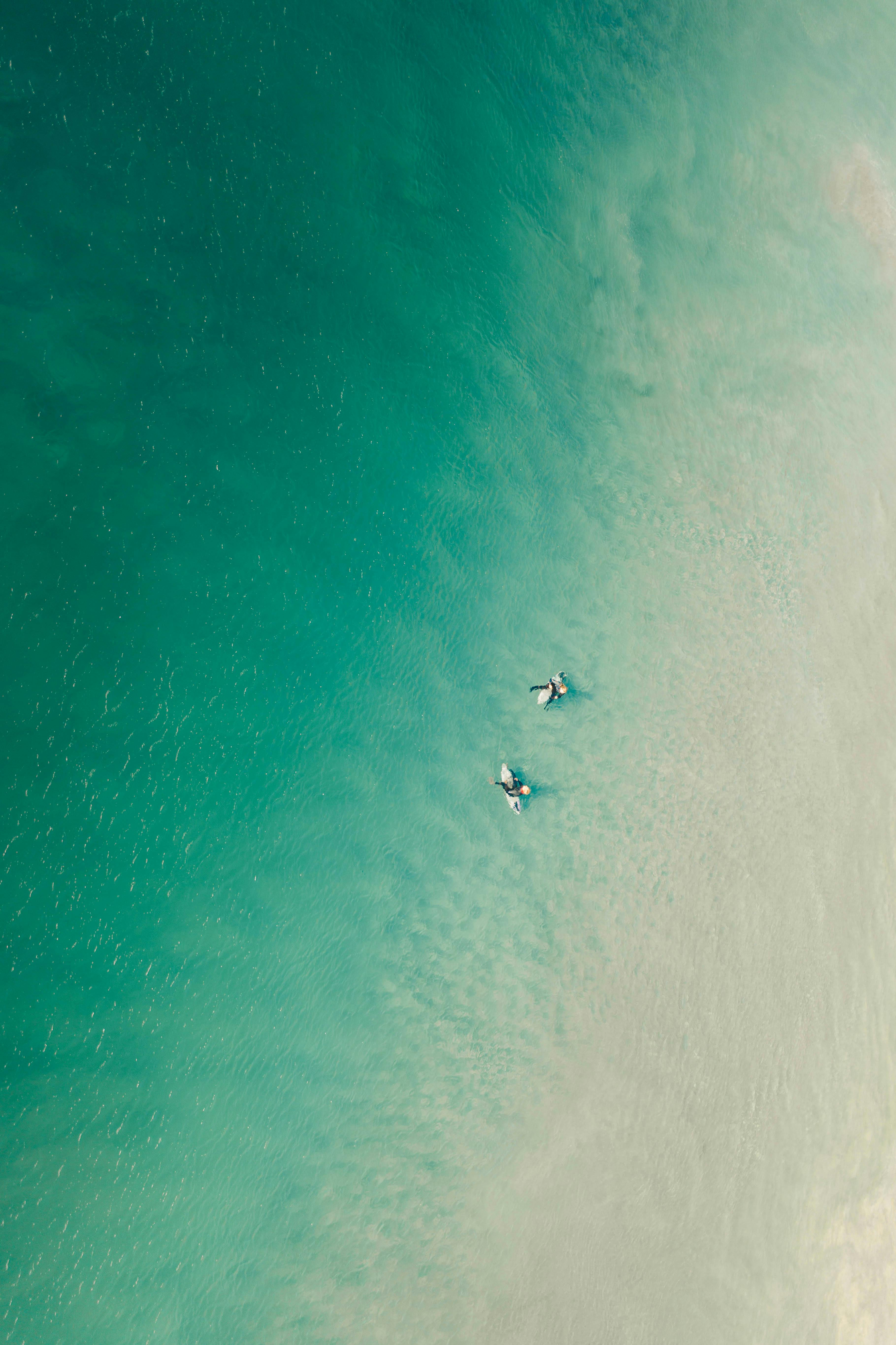 Aerial Photo of People in the Ocean · Free Stock Photo