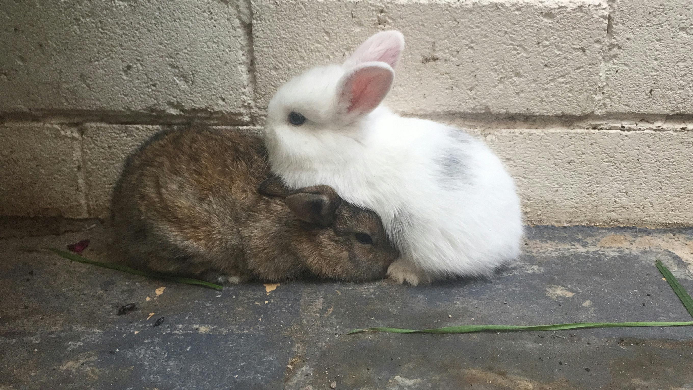 Luis Gallardo - Photography