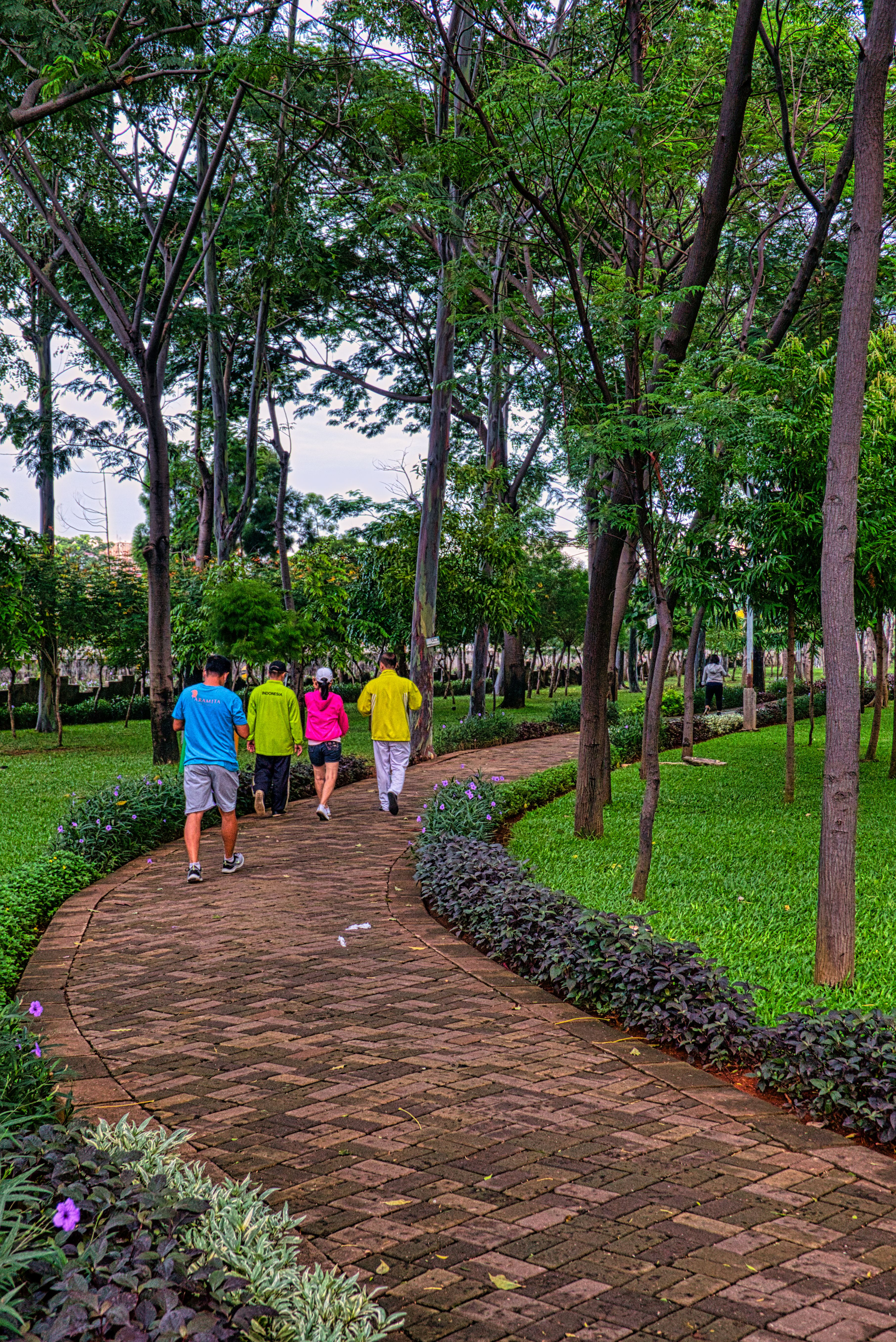 People Walking on the Park · Free Stock Photo