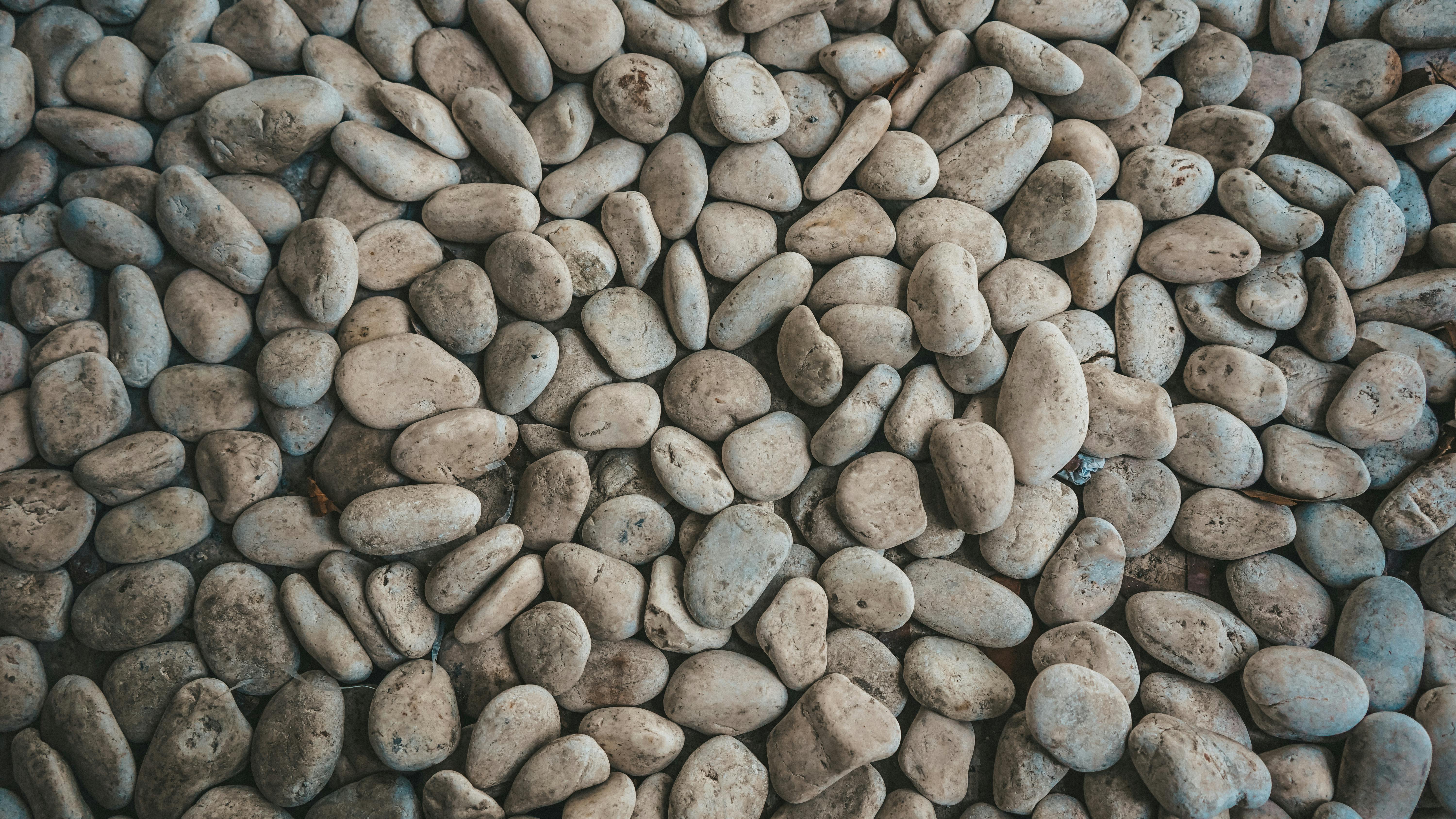 Close-Up Photo of Pebbles · Free Stock Photo