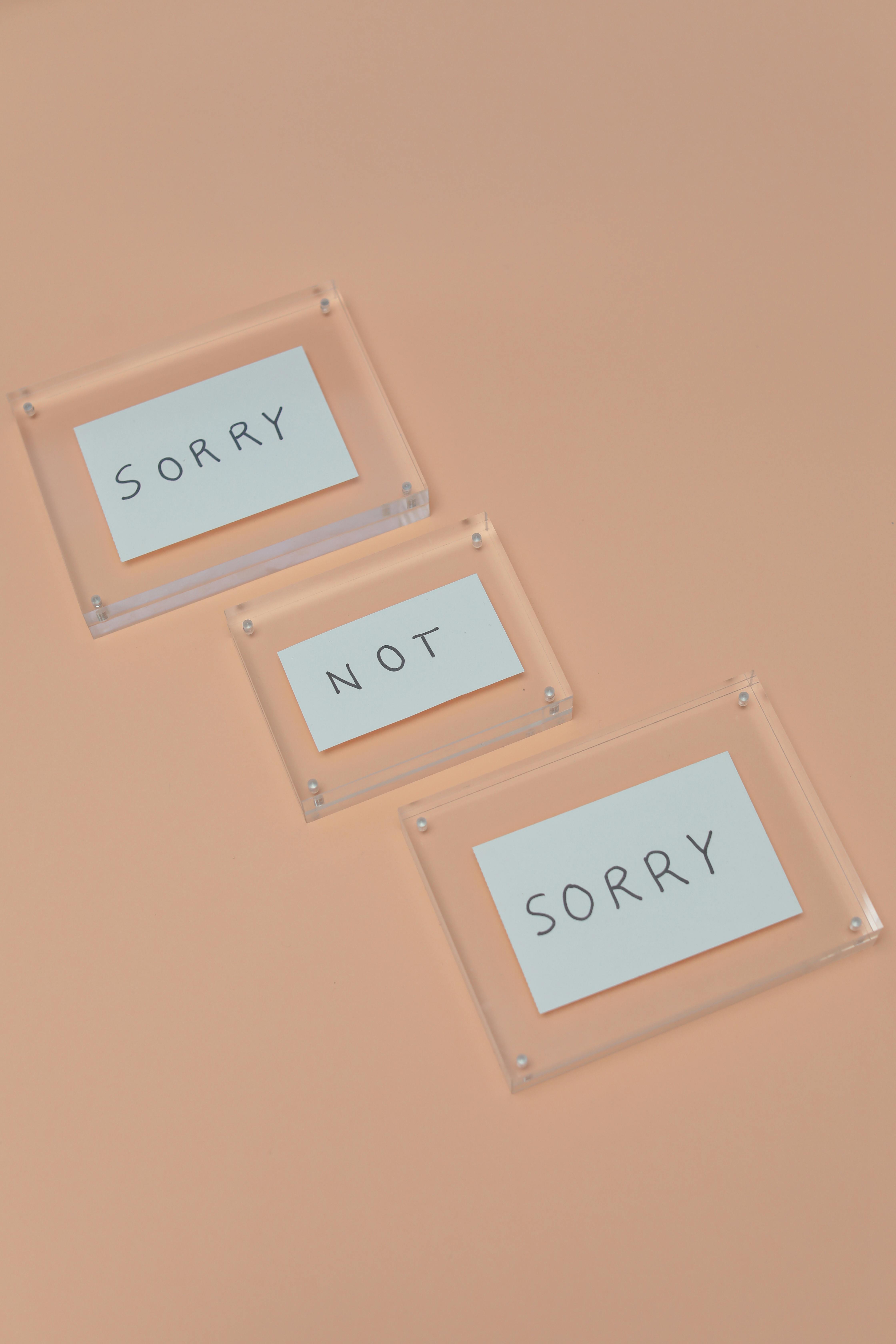 Sorry Photos, Download The BEST Free Sorry Stock Photos & HD Images