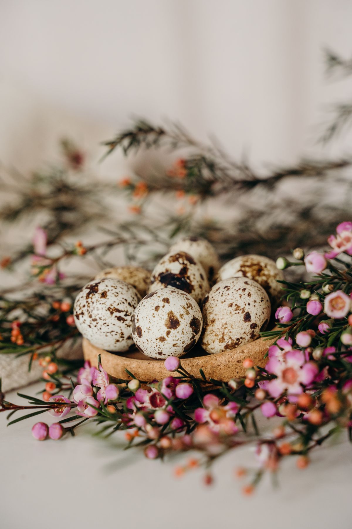 10,000+ Best Egg Photos · 100% Free Download · Pexels Stock Photos