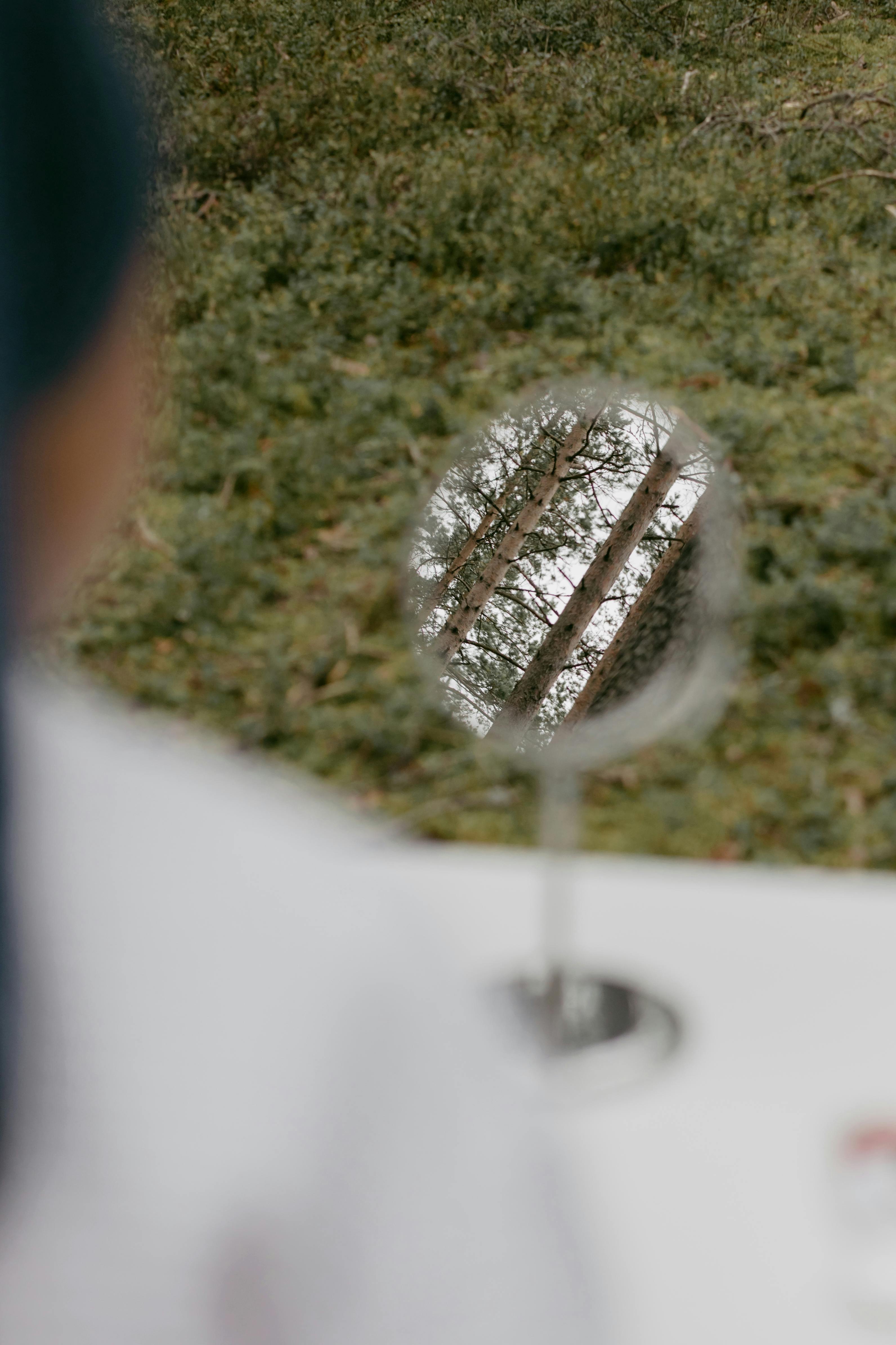 Reflection of Trees on Round Mirror on the Table · Free Stock Photo