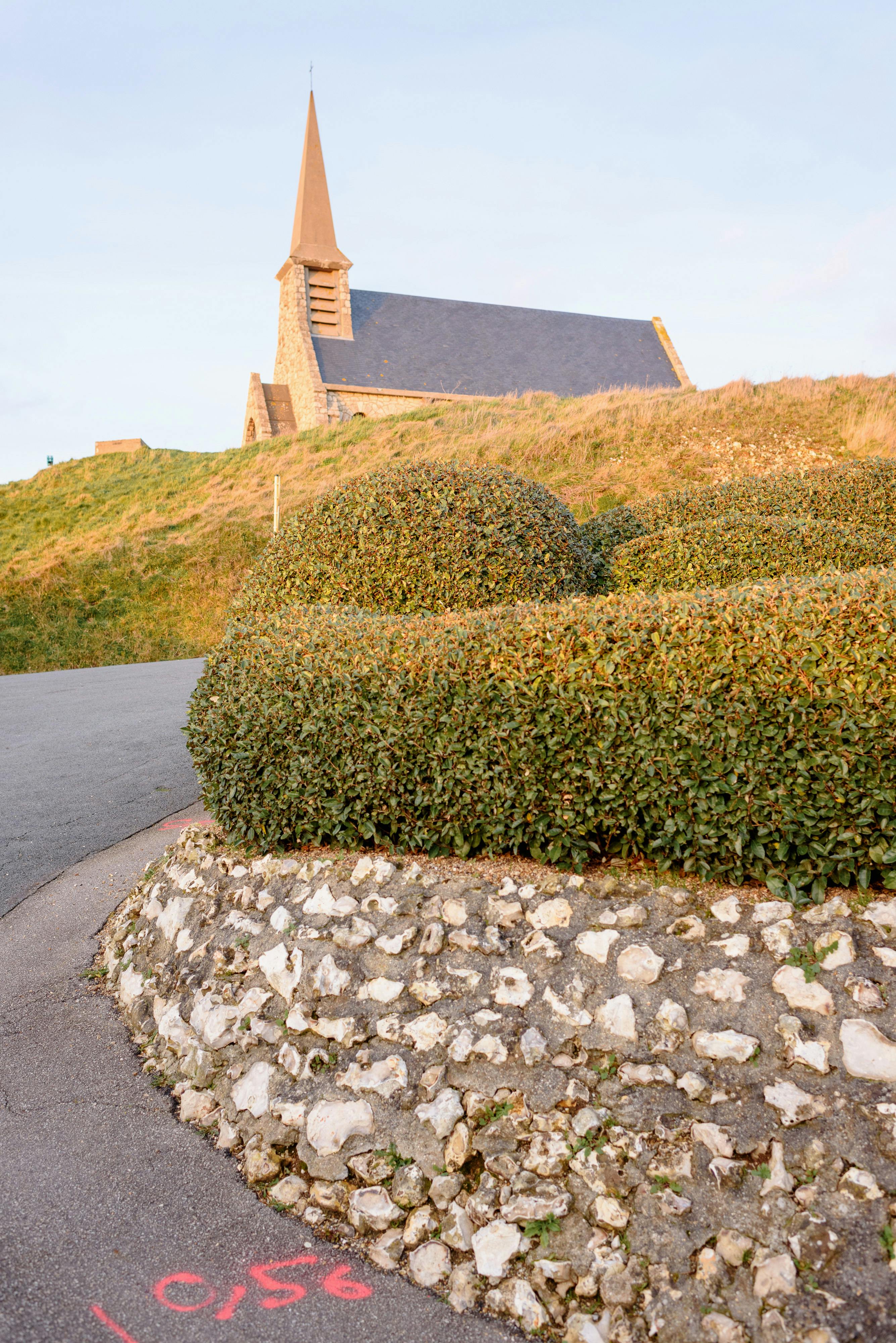 Hedge on Roundabout · Free Stock Photo