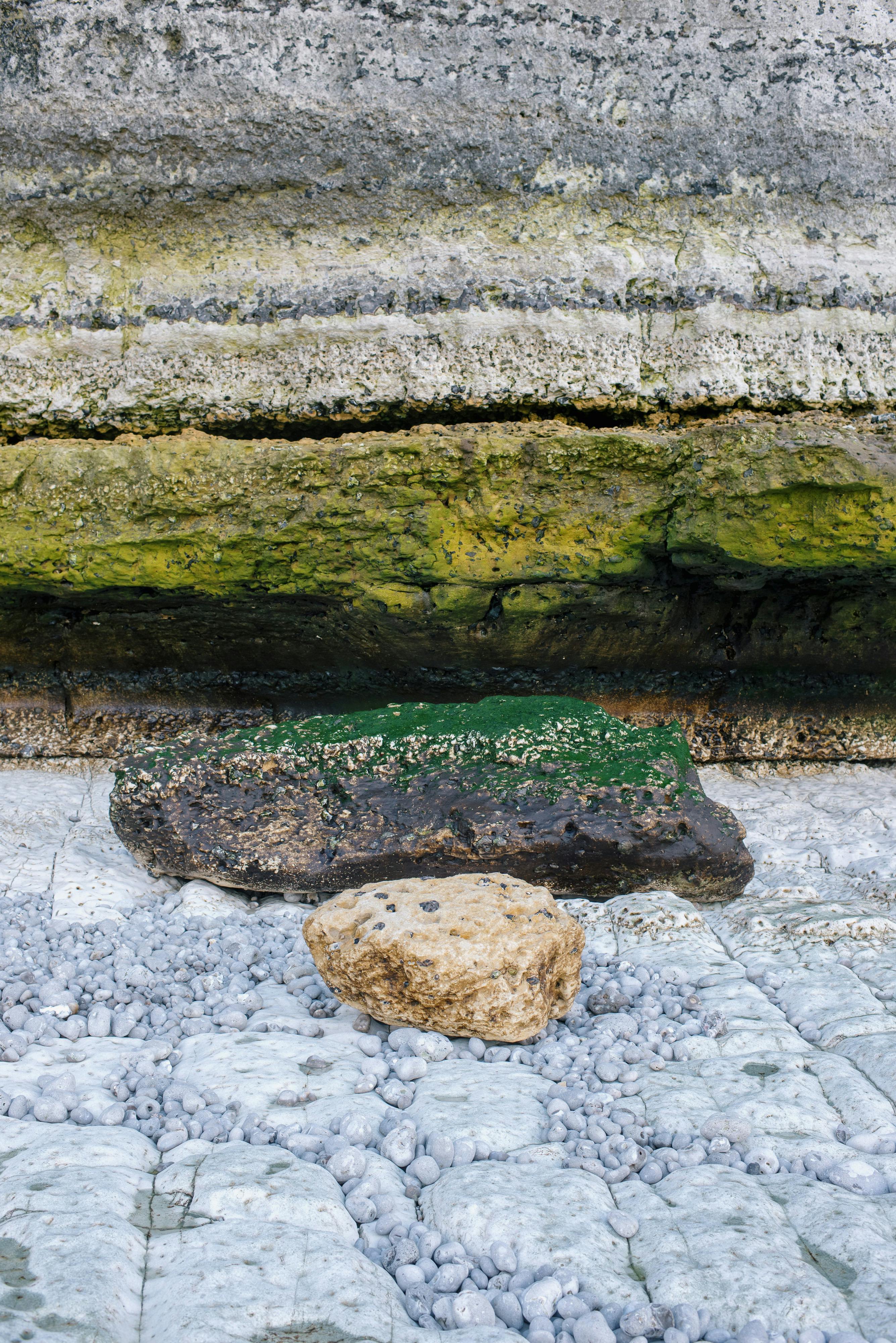 Dirty Rocks on Ground · Free Stock Photo