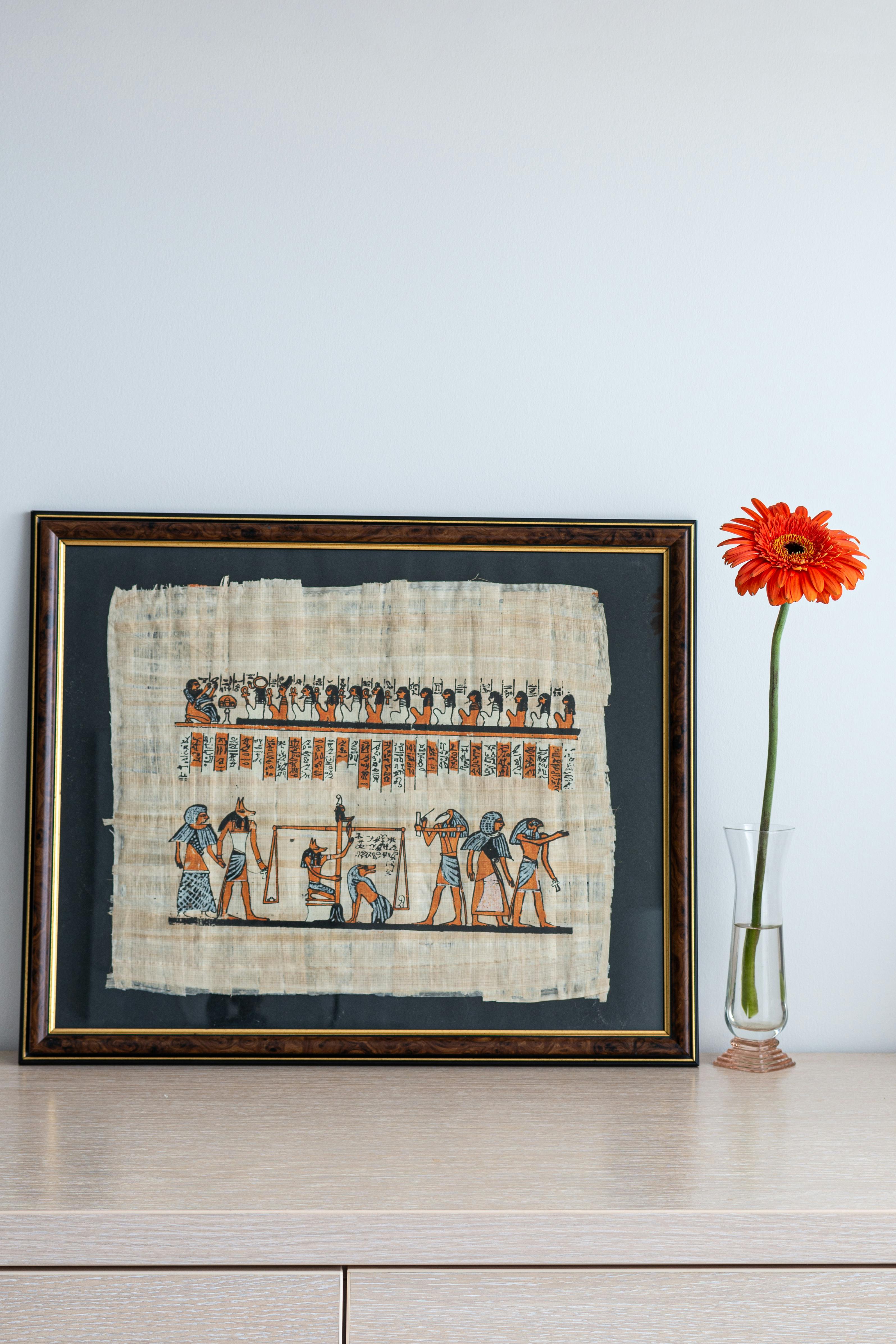 Papyrus Photos, Download The BEST Free Papyrus Stock Photos & HD Images
