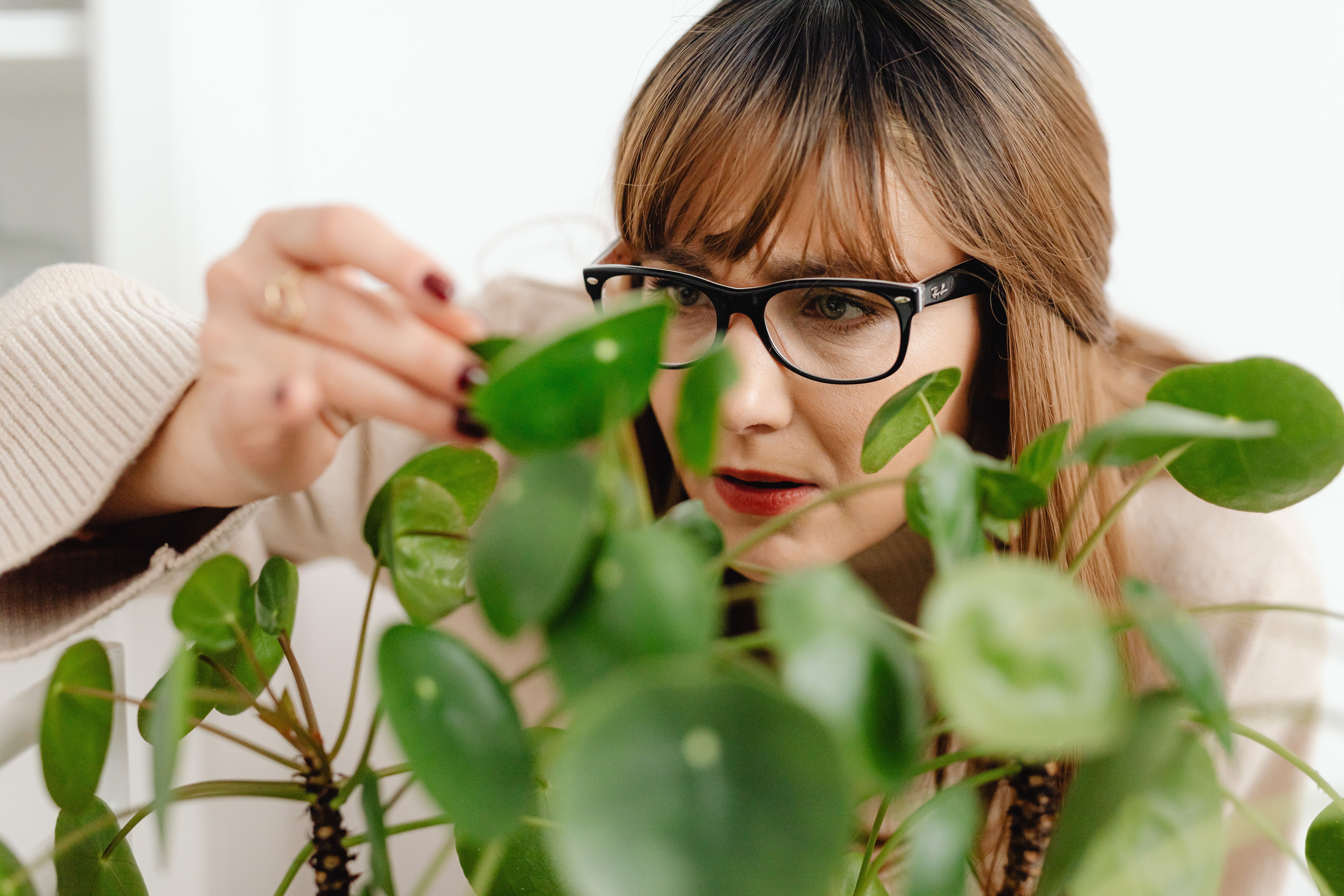 Woman with Eyeglasses Looking at Leaves · Free Stock Photo