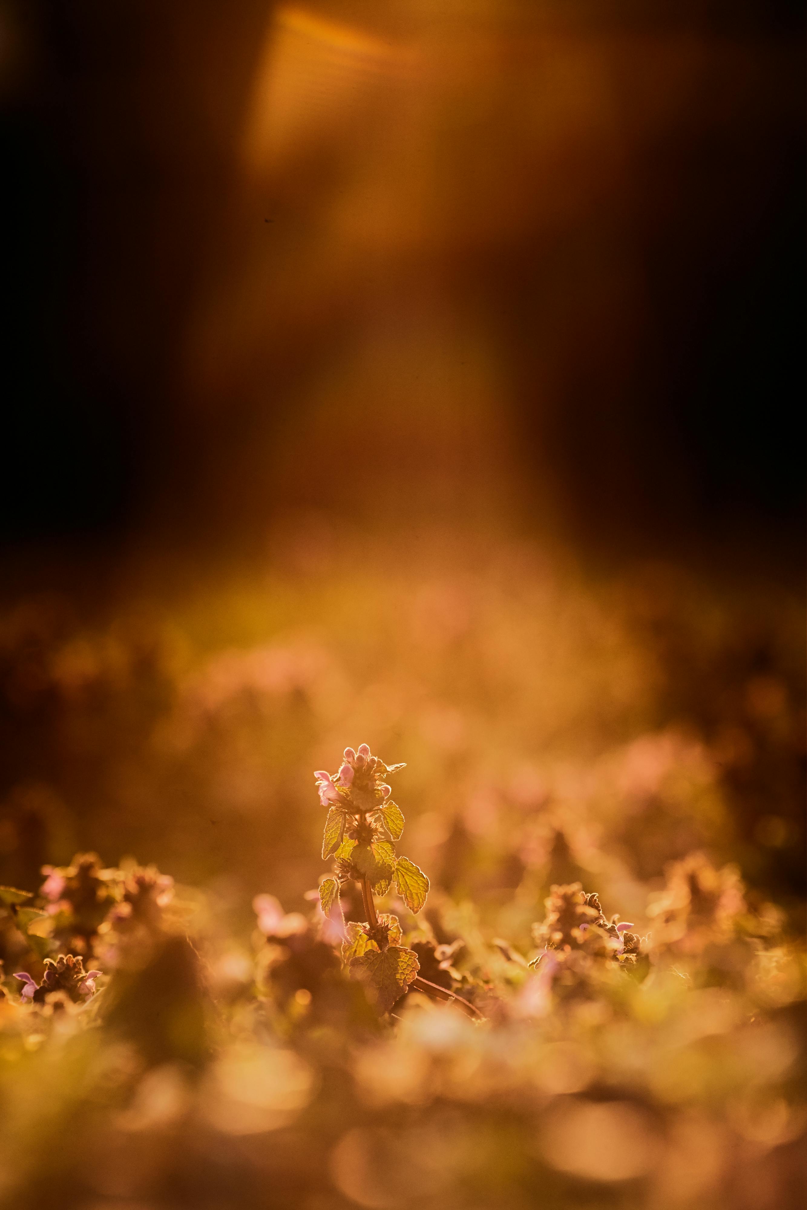 Tiut Vladut - Photography