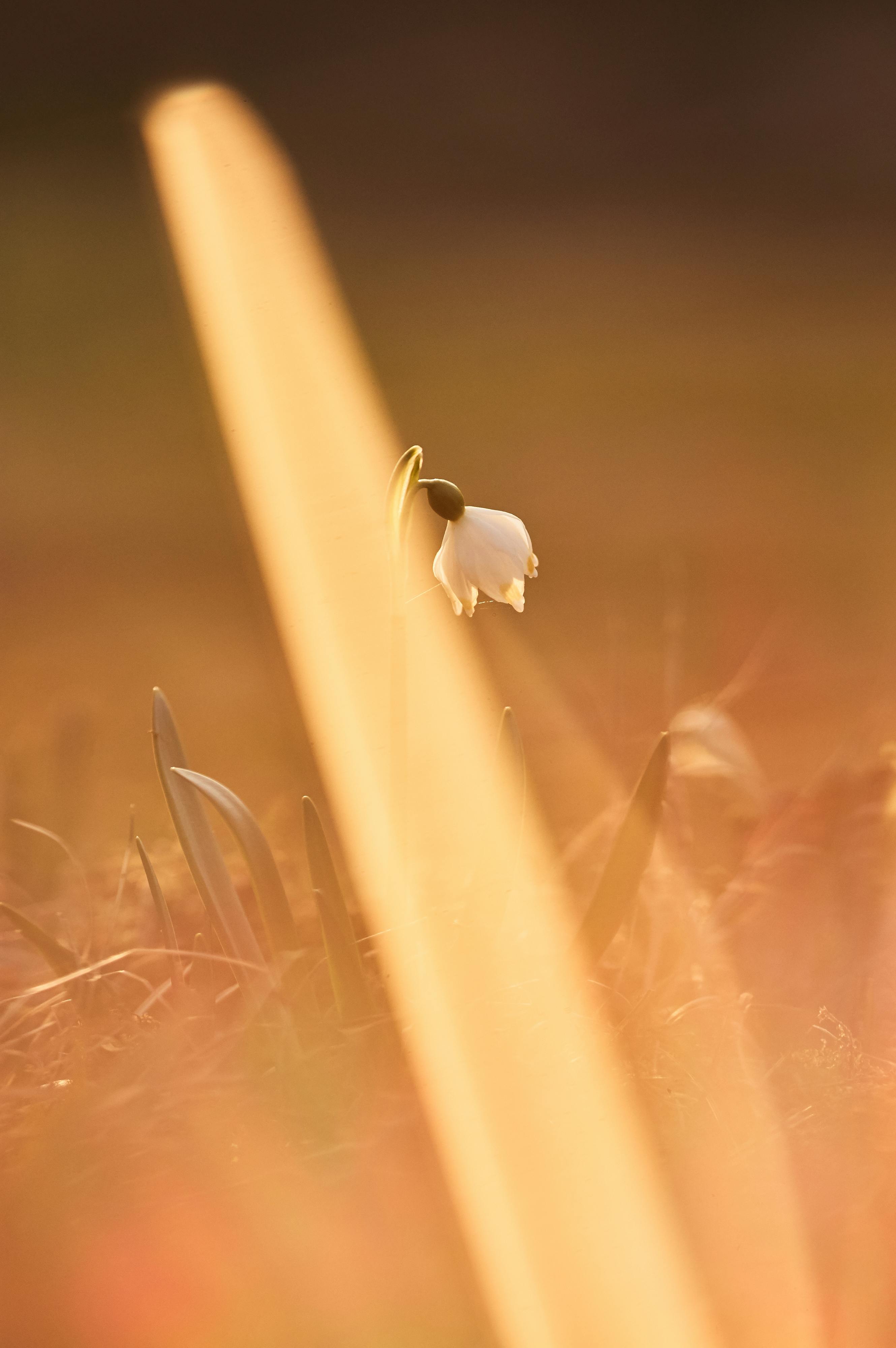 Tiut Vladut - Photography