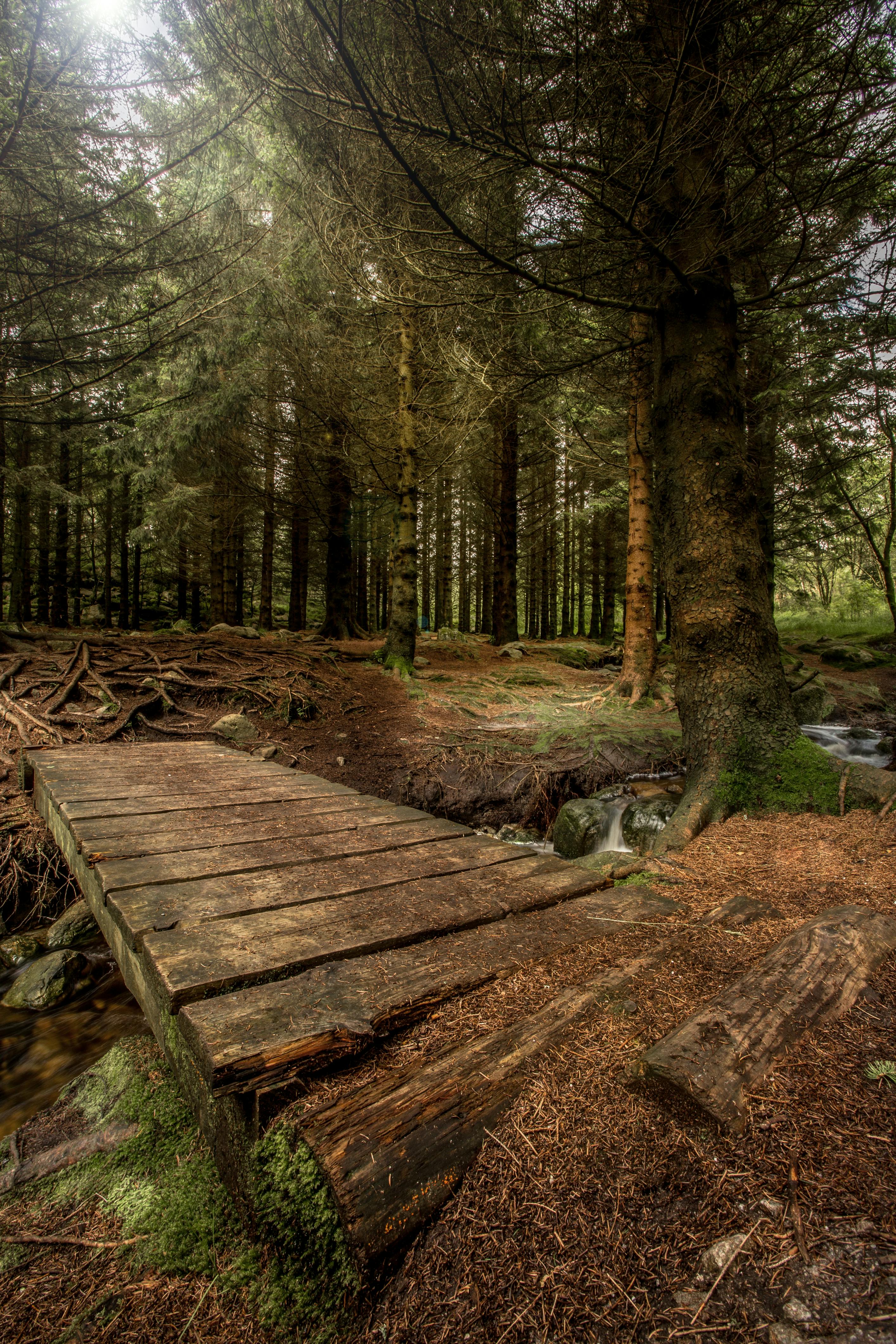 Tiut Vladut - 摄影