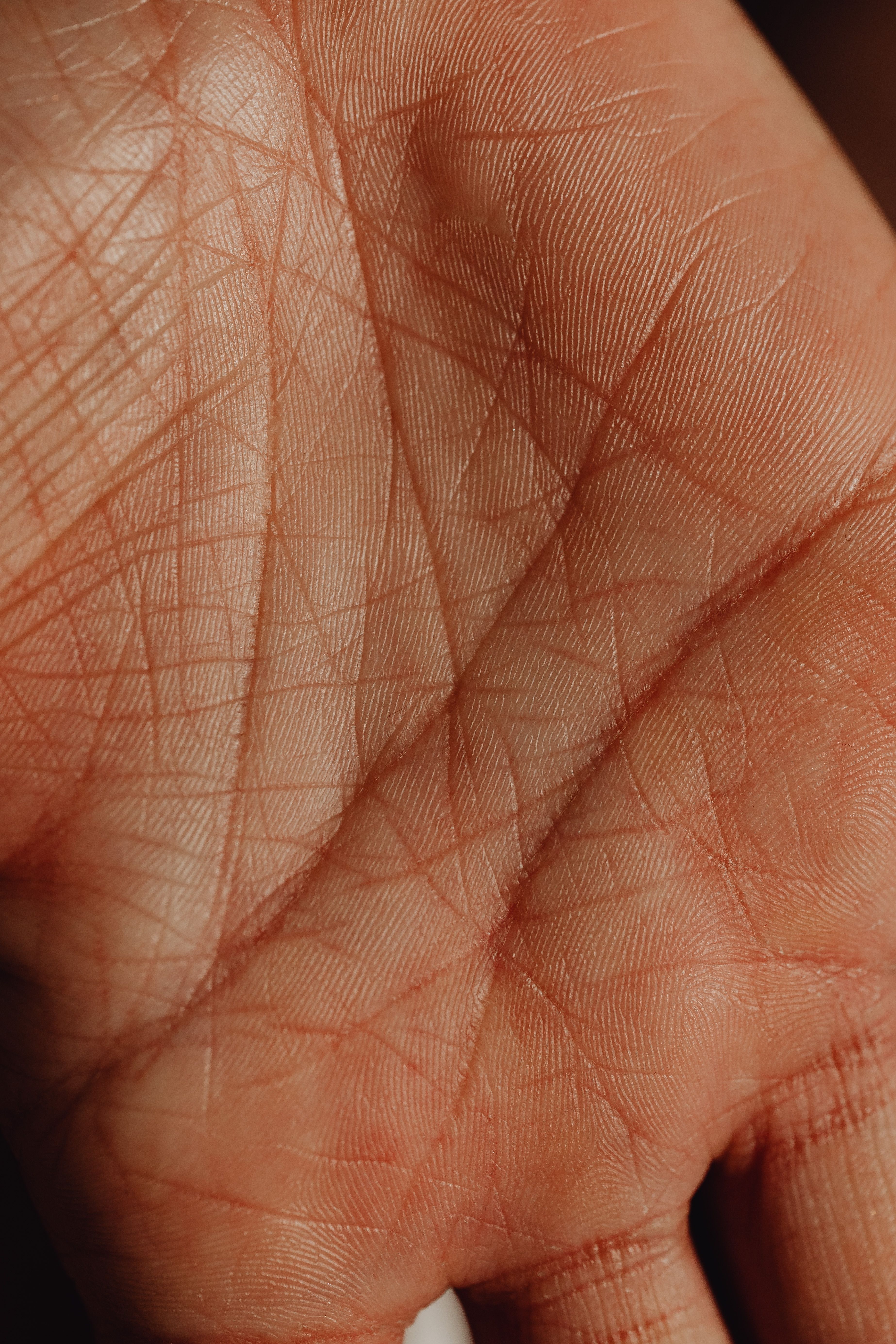 Palm Hand Photos, Download The BEST Free Palm Hand Stock Photos & HD Images