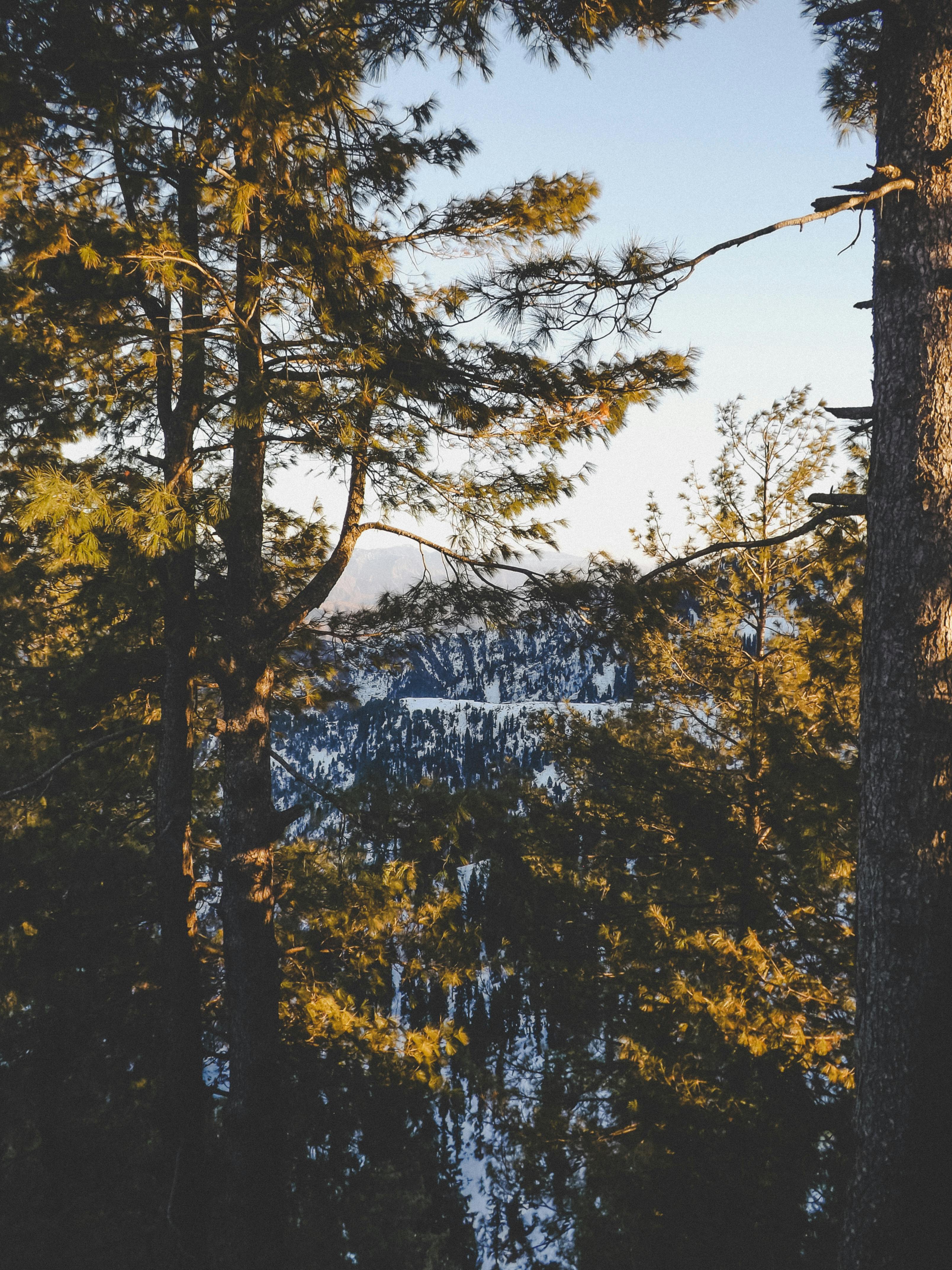 Mohib Ali - Fotografía