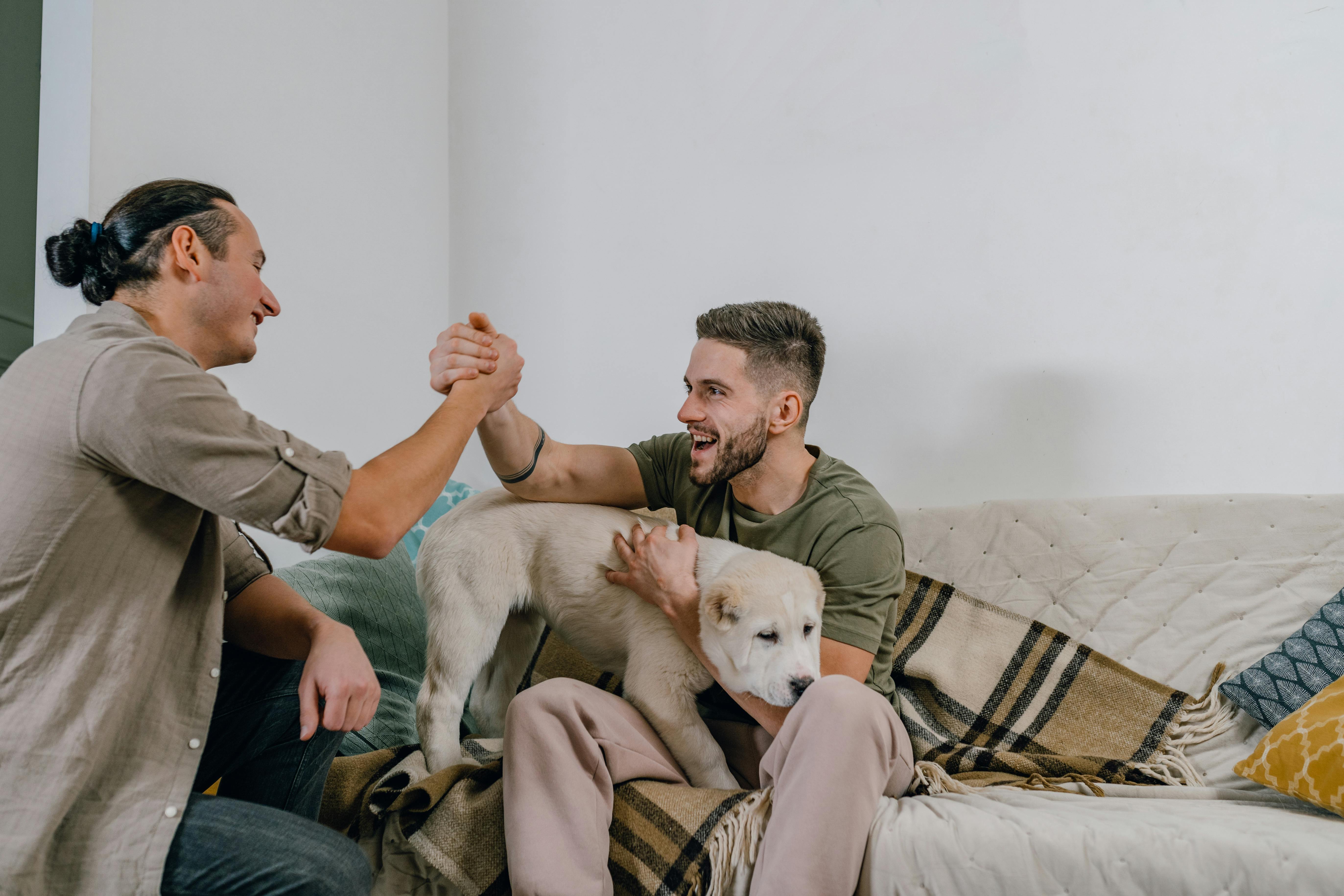 Dog Handshake Photos, Download The BEST Free Dog Handshake Stock Photos ...