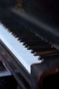 More 320 Instrumental Synonyms. Similar words for Instrumental.