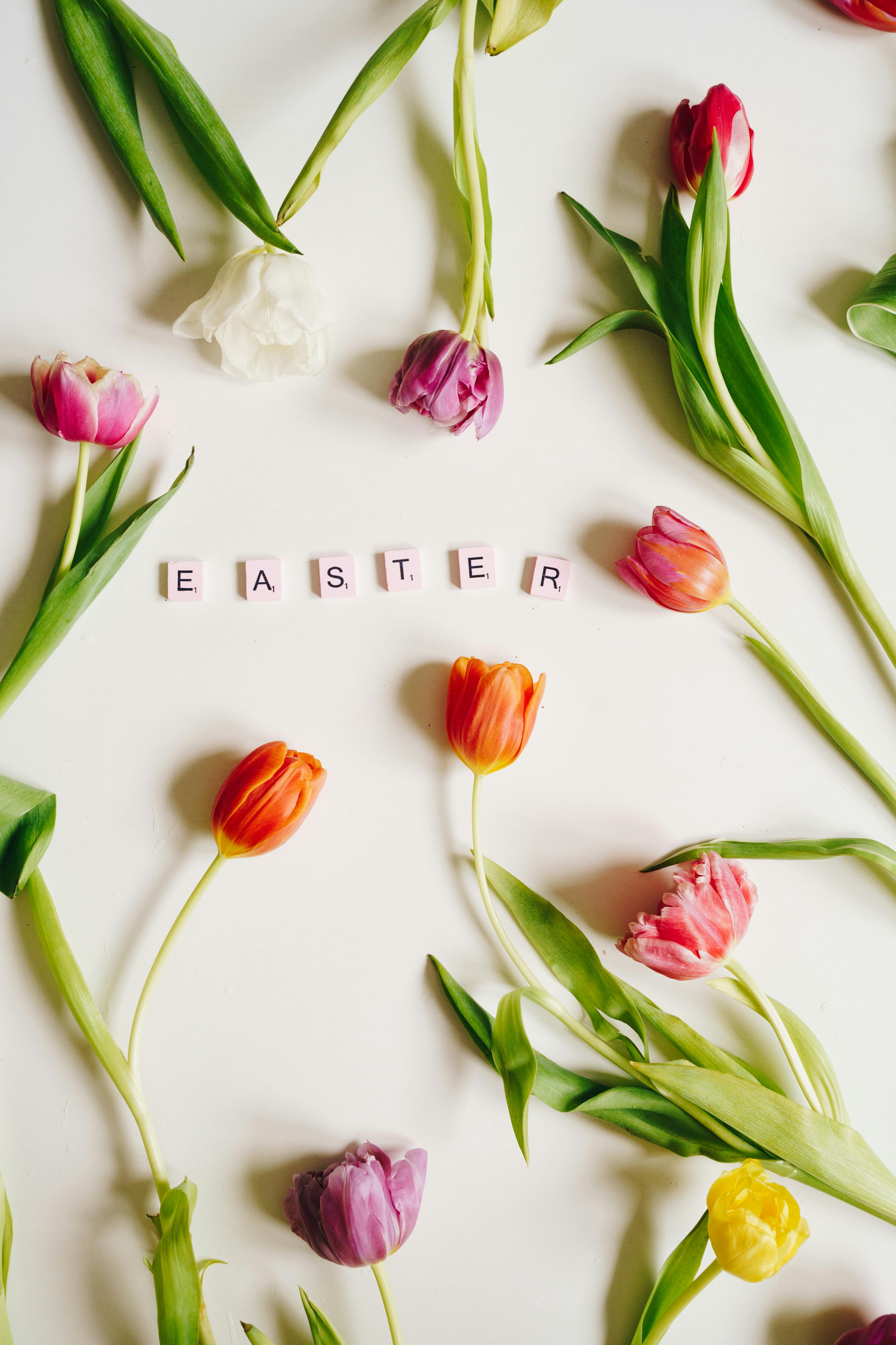 Easter Word Spelled with Scrabble Tiles Surrounded with Tulip Flowers ...