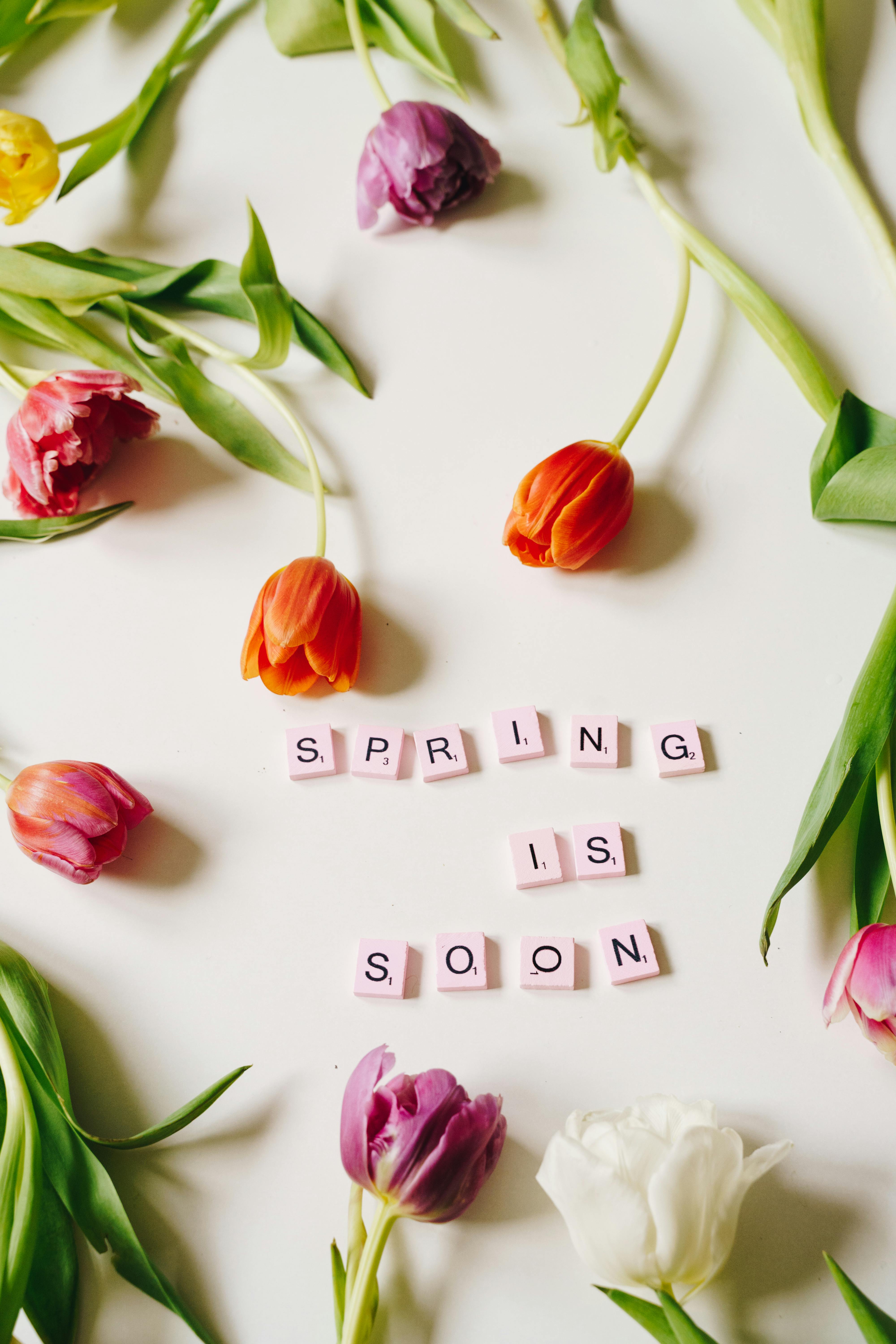 Scrabble Tiles Beside Flowers on White Background · Free Stock Photo
