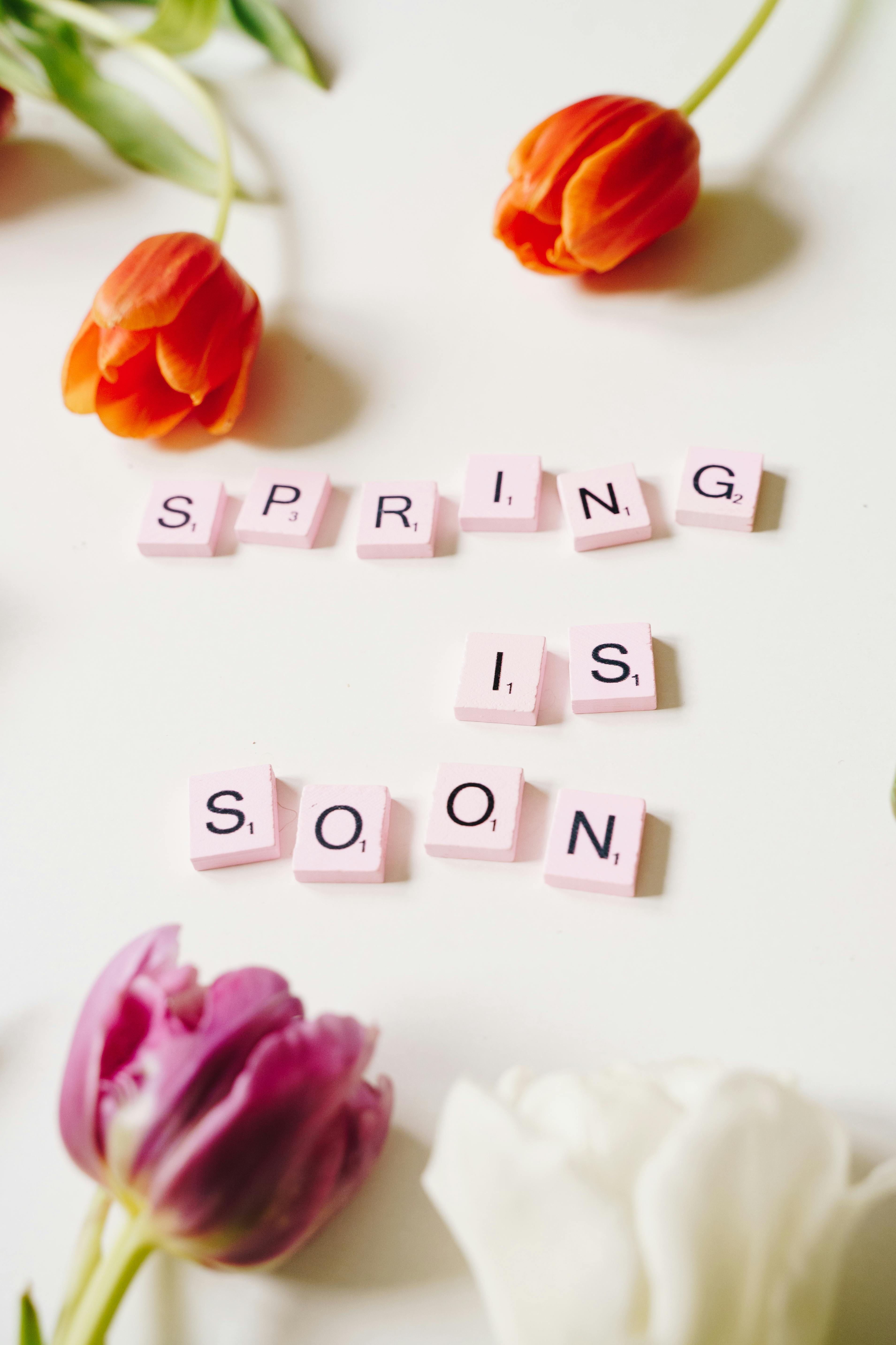 Spring is Soon Text · Free Stock Photo
