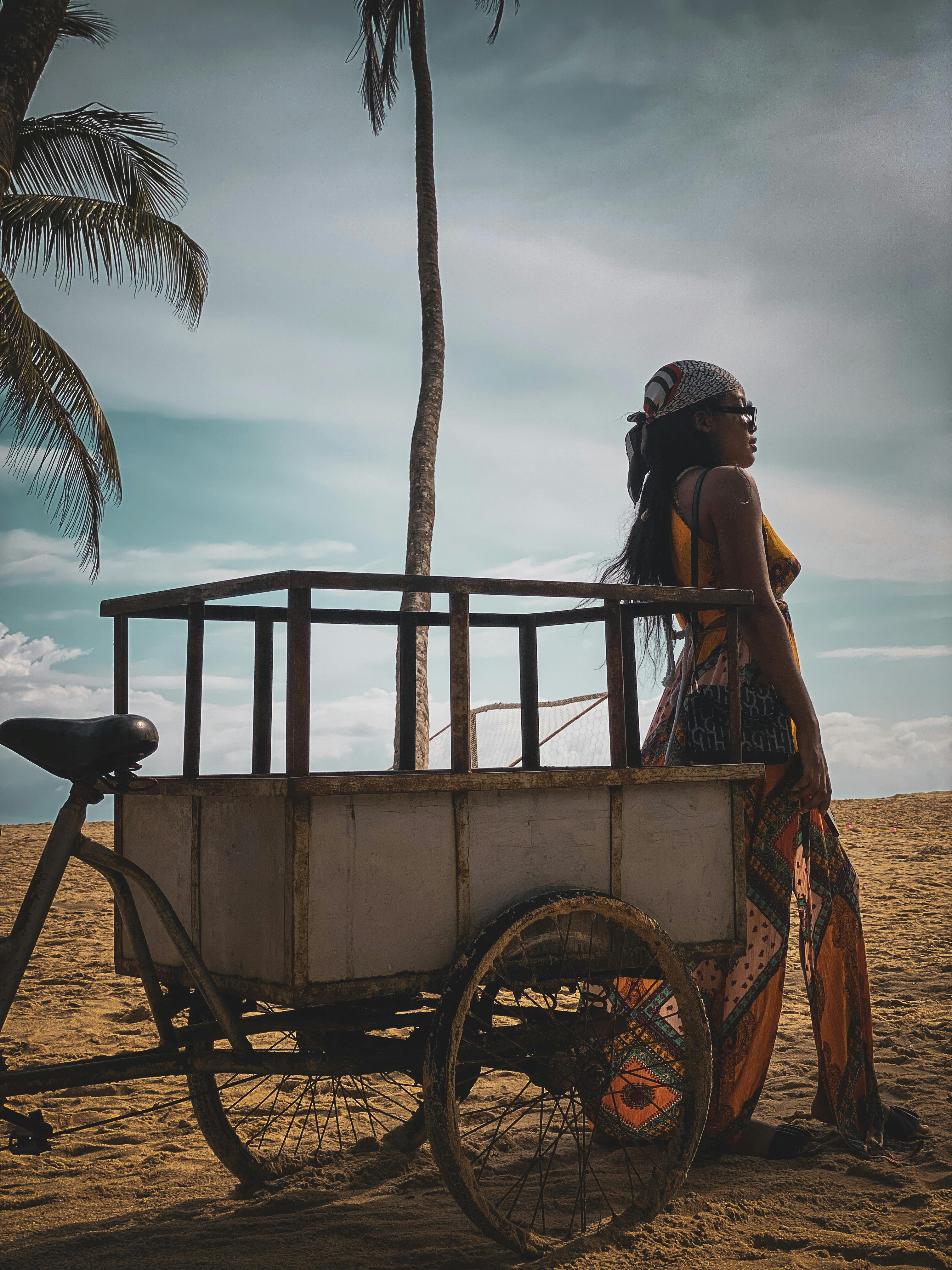 Beach Cart Photos, Download The BEST Free Beach Cart Stock Photos & HD ...