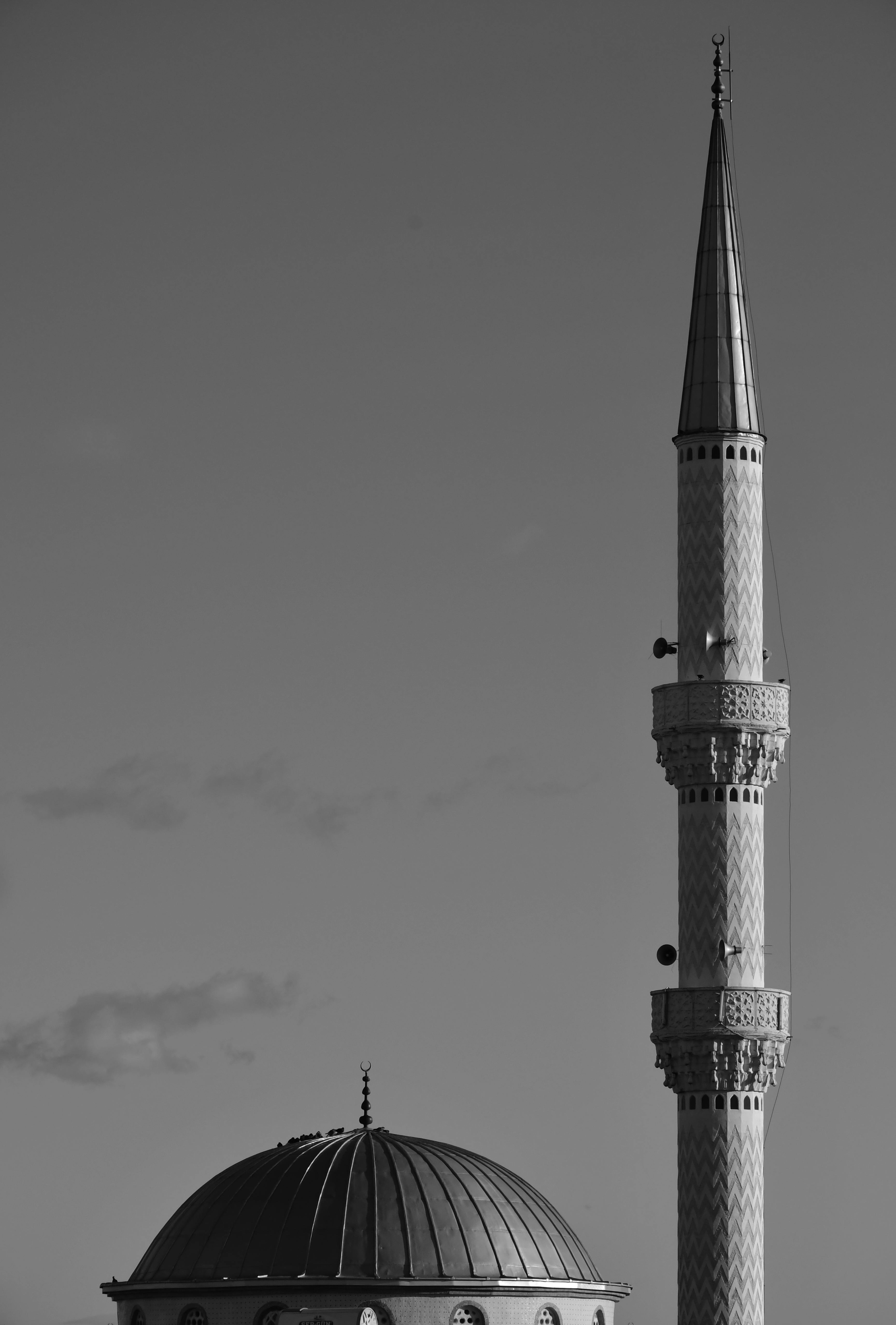 Mosque Dome and Minaret in Black and White · Free Stock Photo