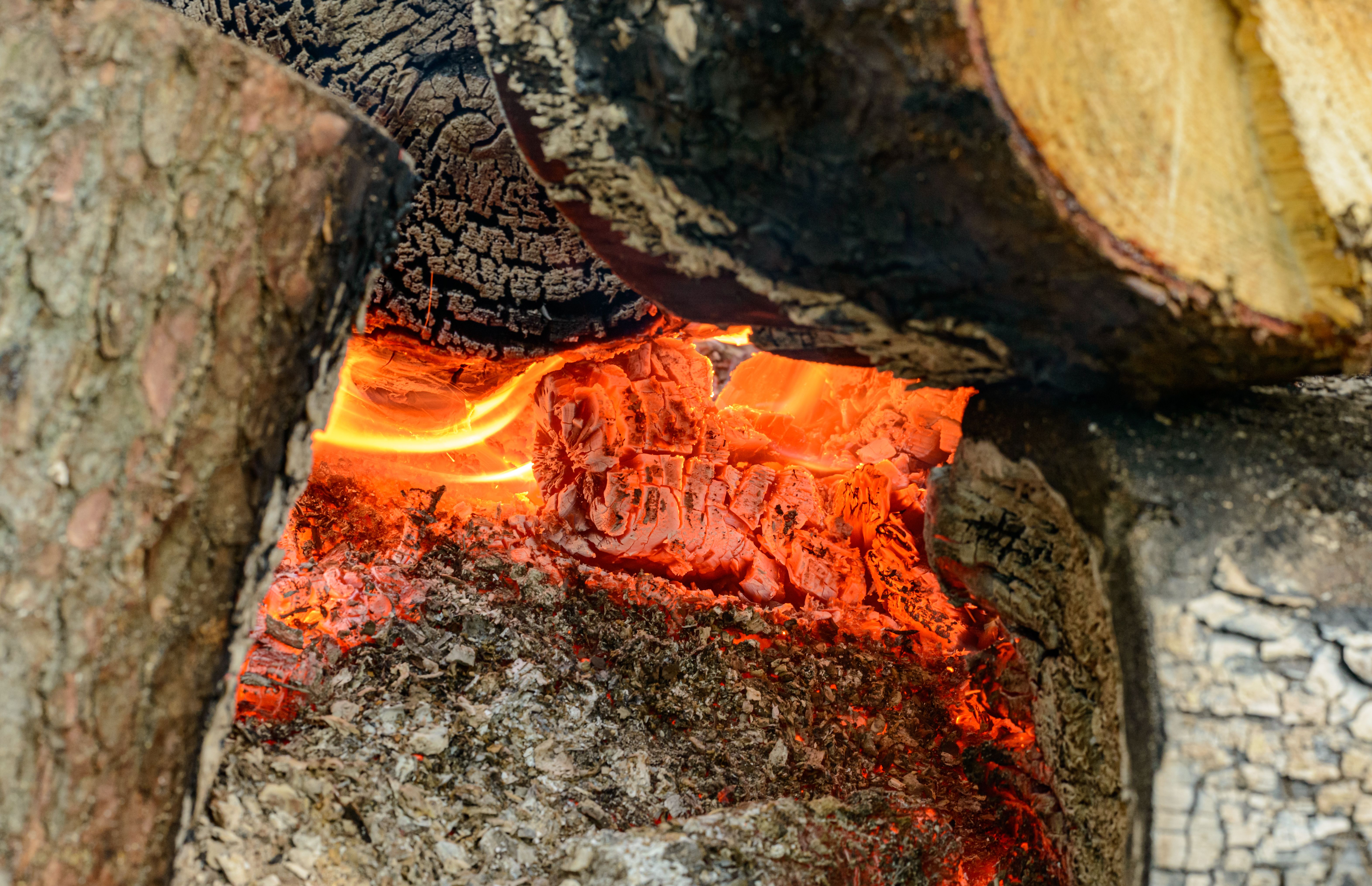 Close-Up Photograph of Burning Wood · Free Stock Photo