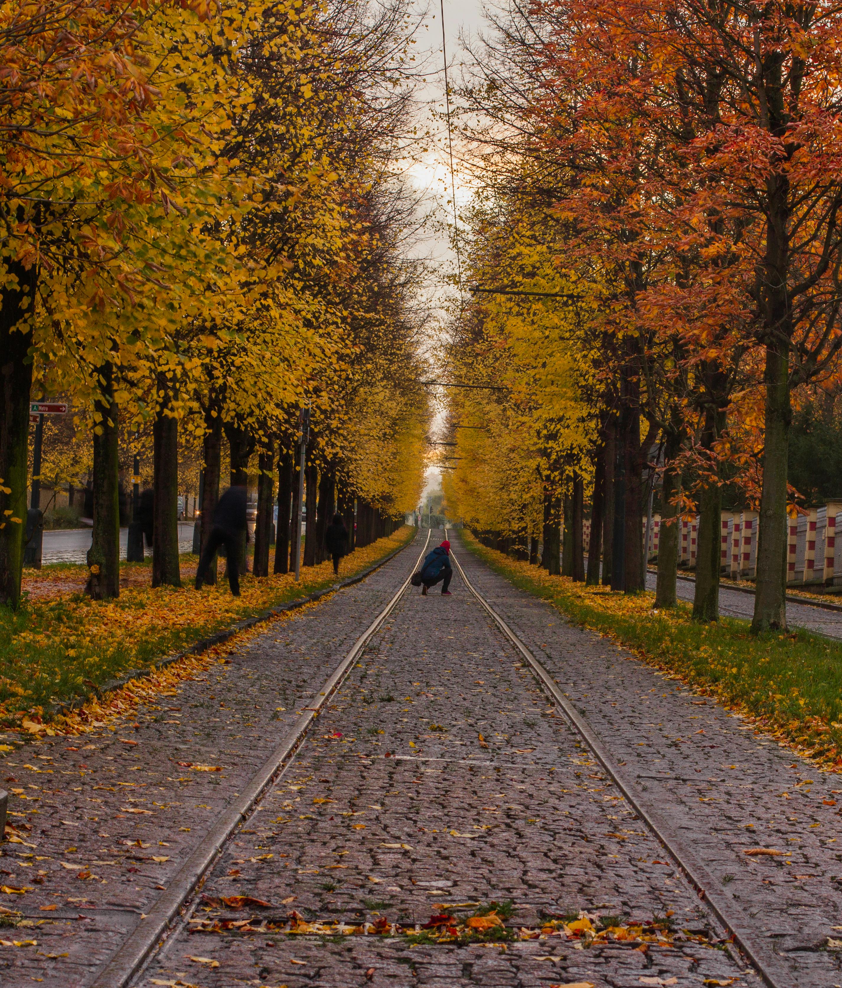 Rahul Negi - Fotografía