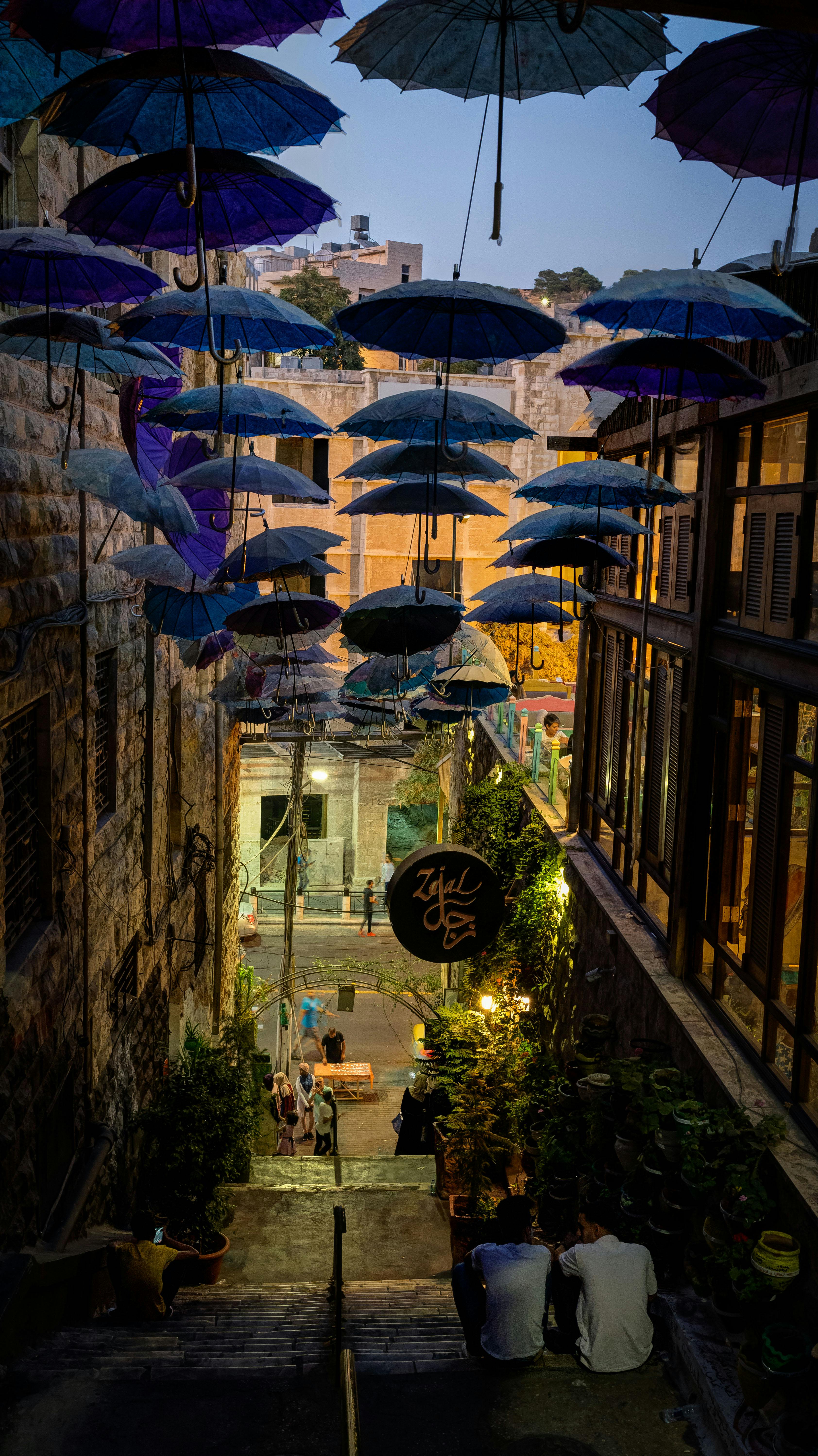 Jordani Photos, Download The BEST Free Jordani Stock Photos & HD Images