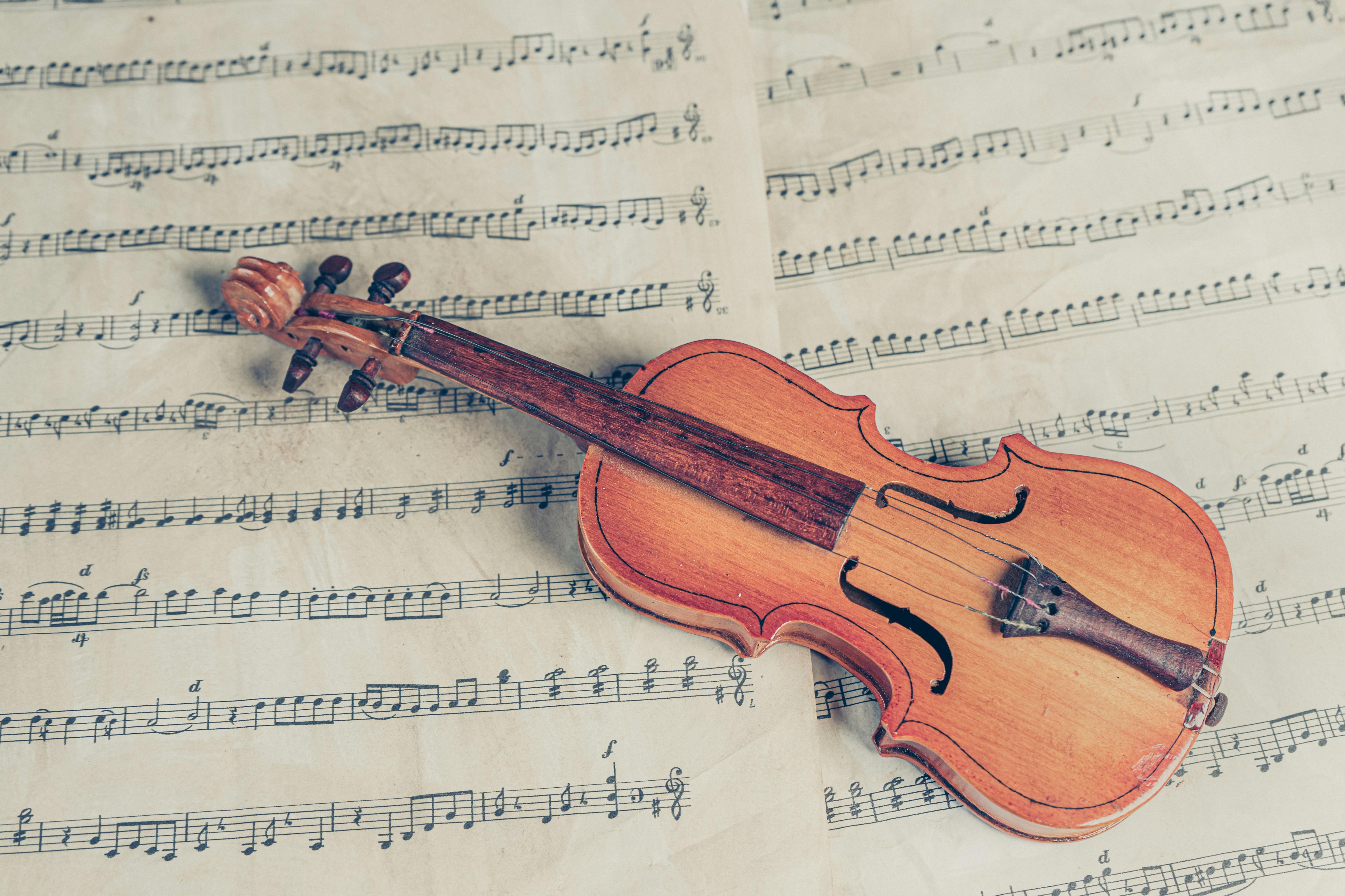 Close-Up Shot of a Violin · Free Stock Photo