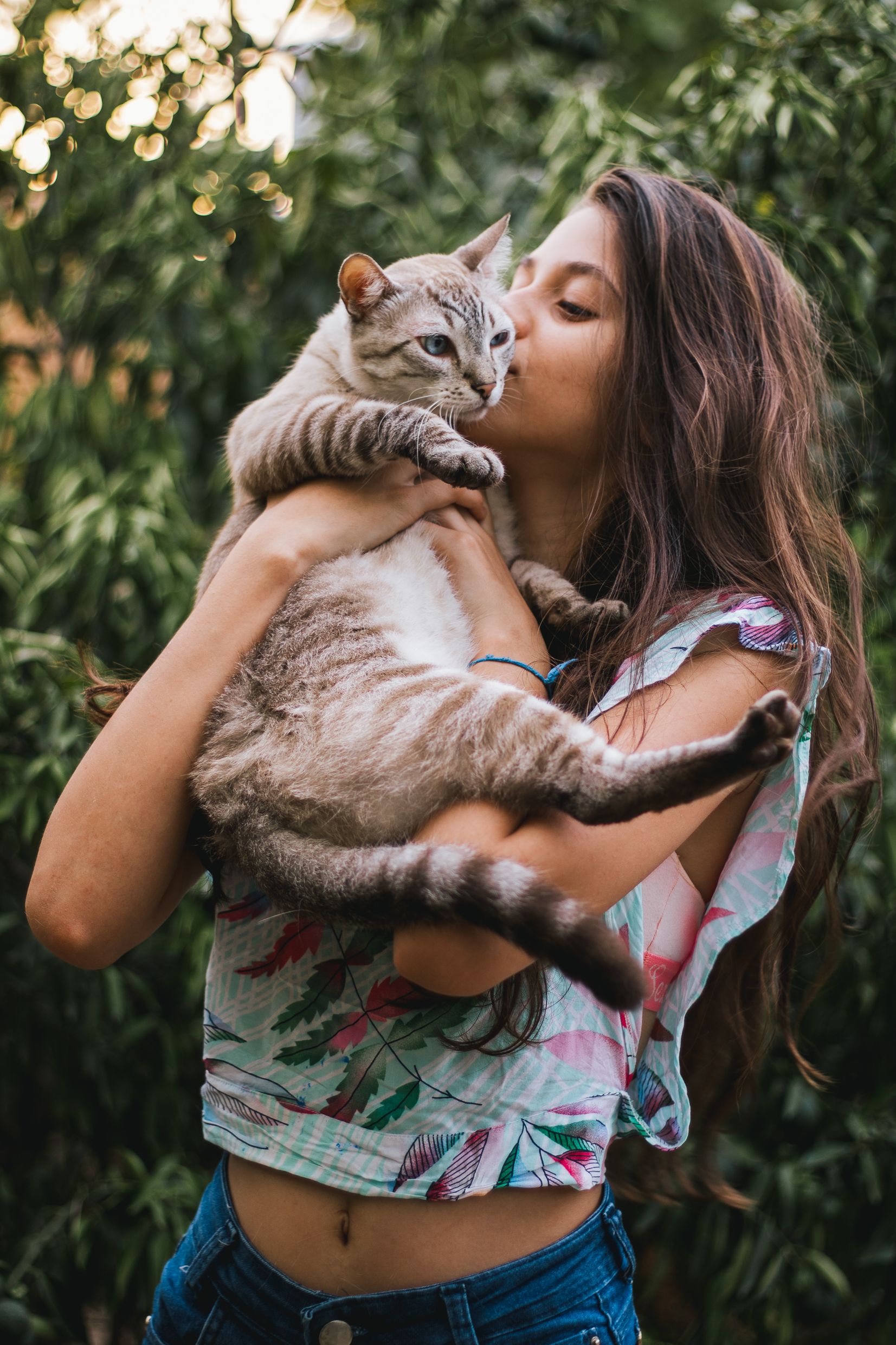 Cat Kissing Photos, Download The BEST Free Cat Kissing Stock Photos ...