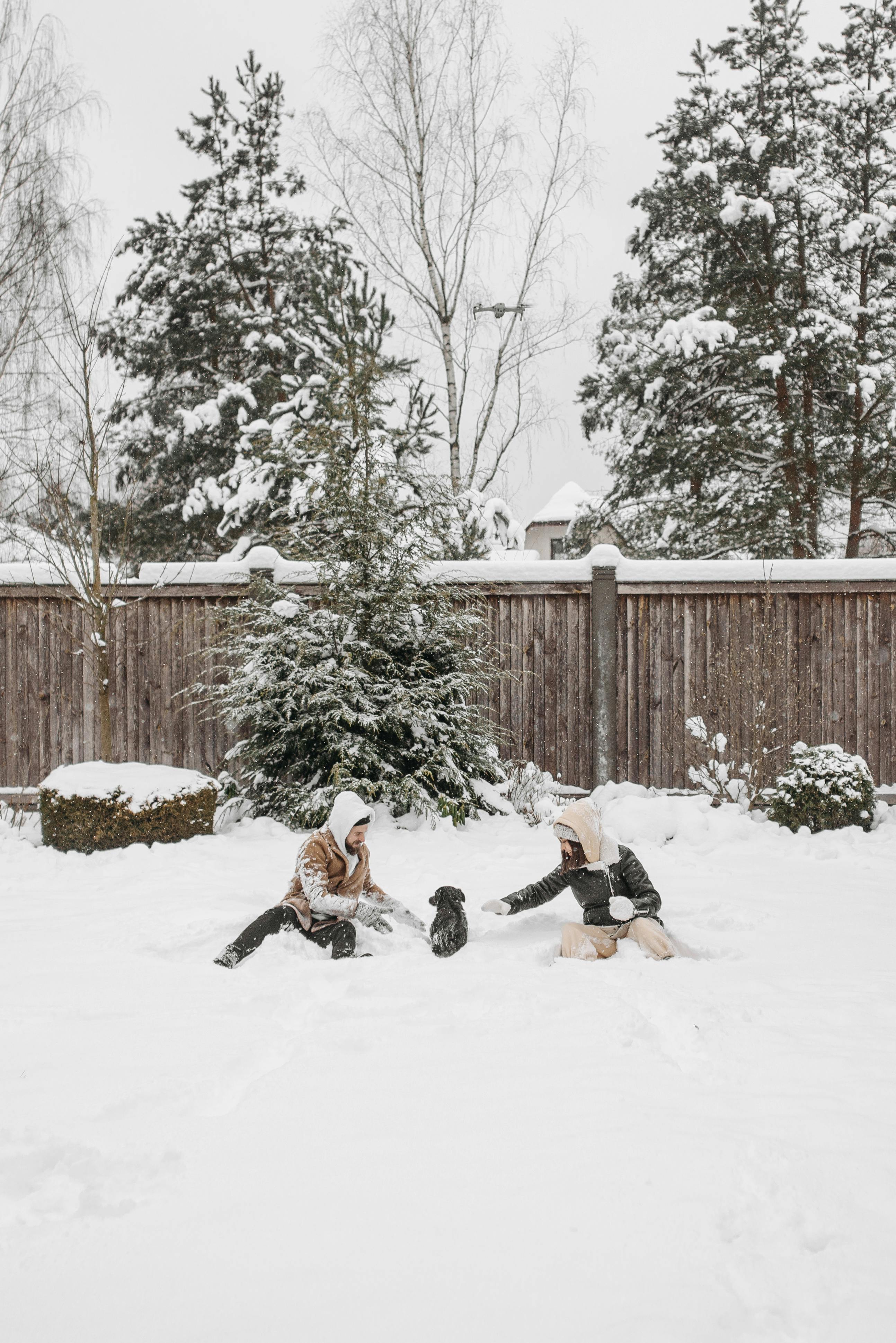 Romantic Couple Playing with Snow · Free Stock Photo