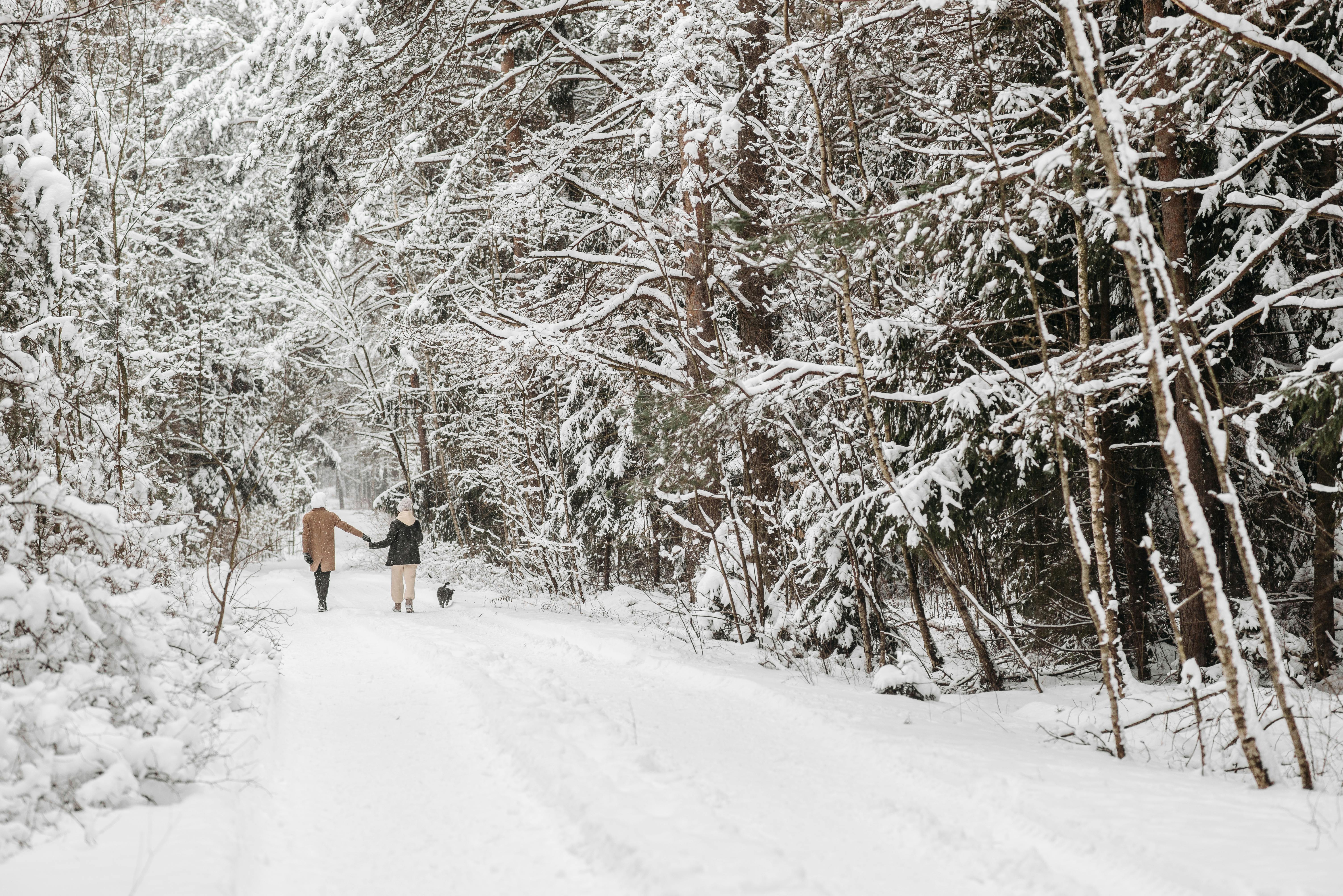 People Walking on a Snow Covered Path · Free Stock Photo