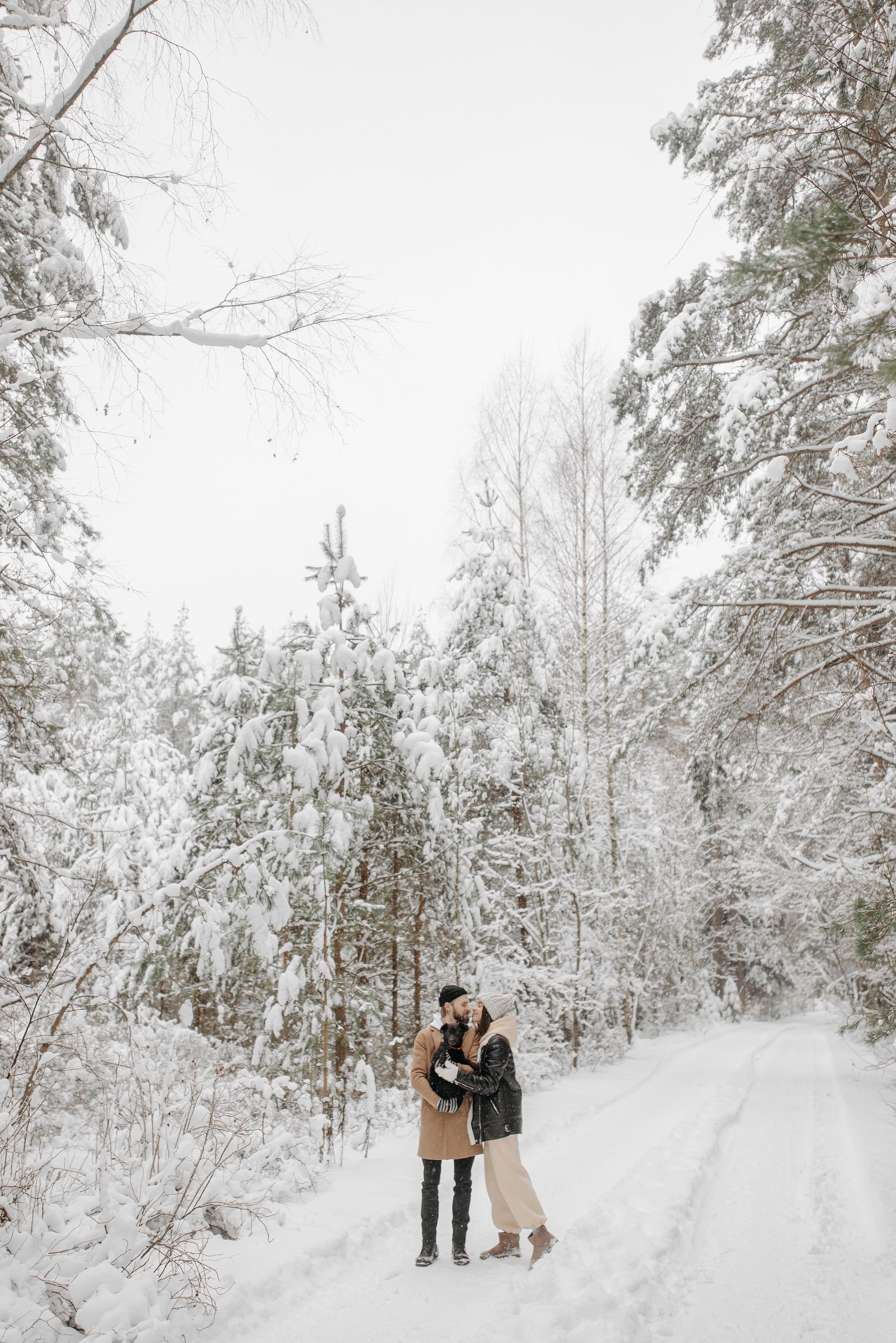 Snow Laden Branches Photos, Download The BEST Free Snow Laden Branches ...