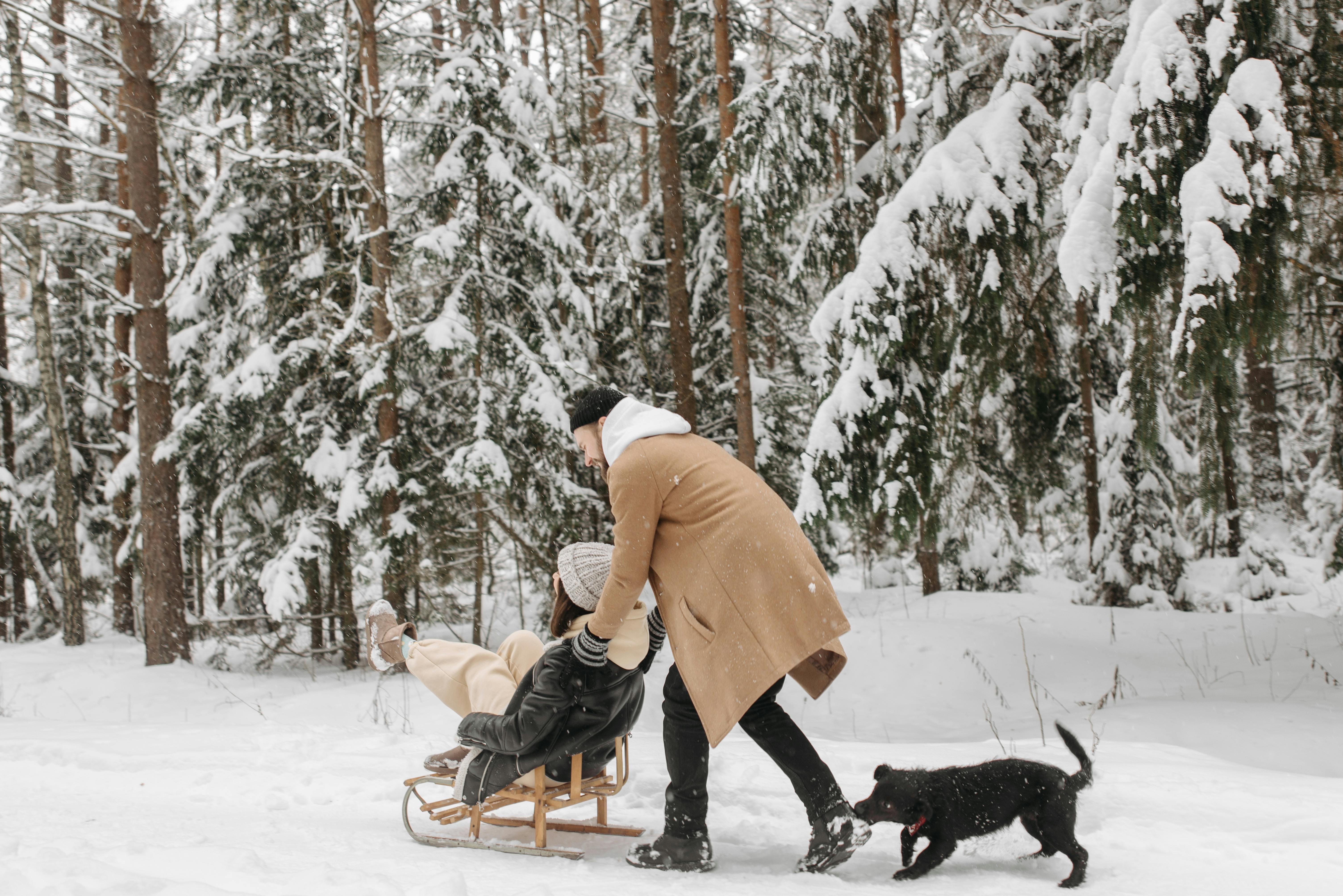 A Man Pushing a Woman on a Sleigh · Free Stock Photo