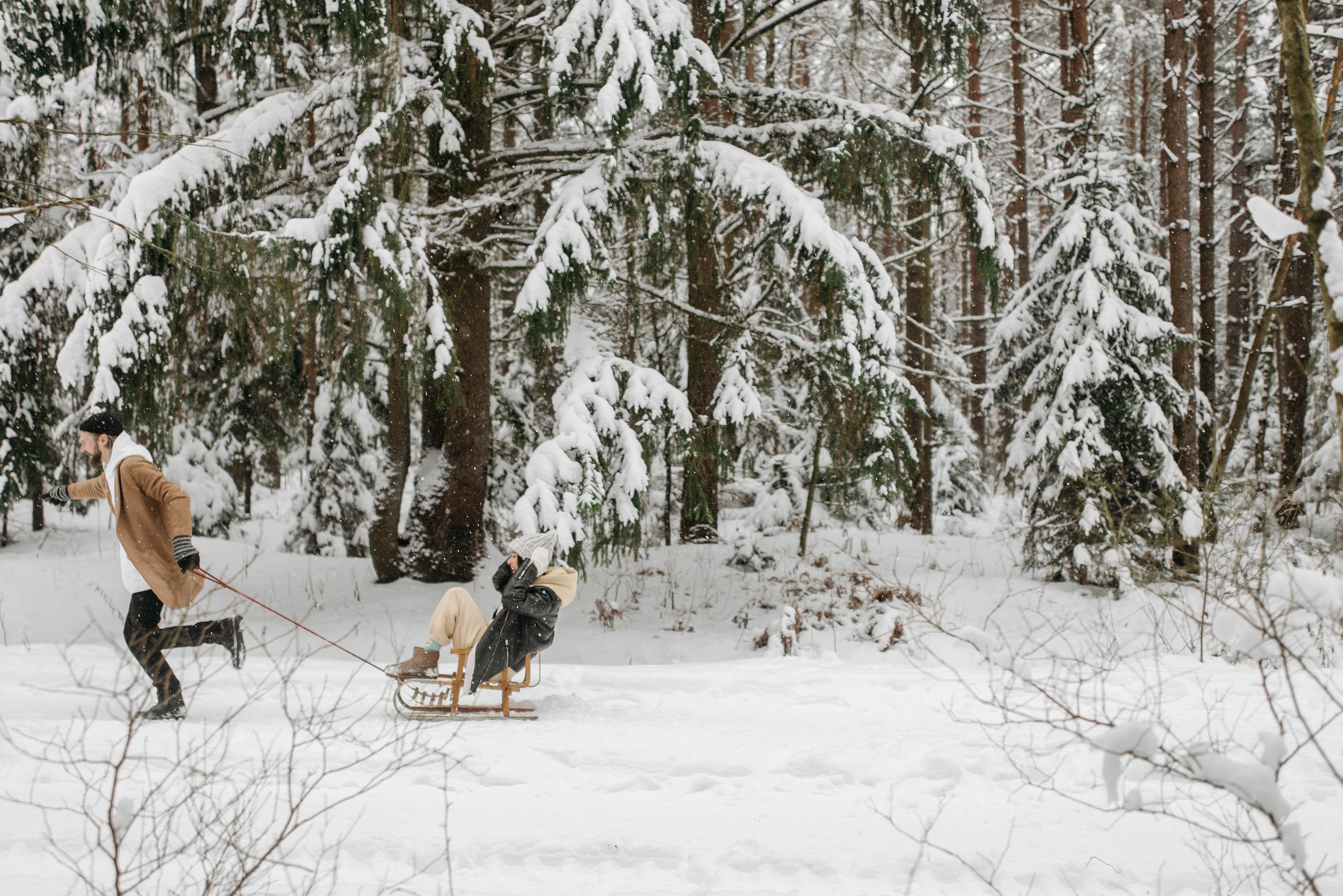 A Man Pushing a Woman on a Sleigh · Free Stock Photo
