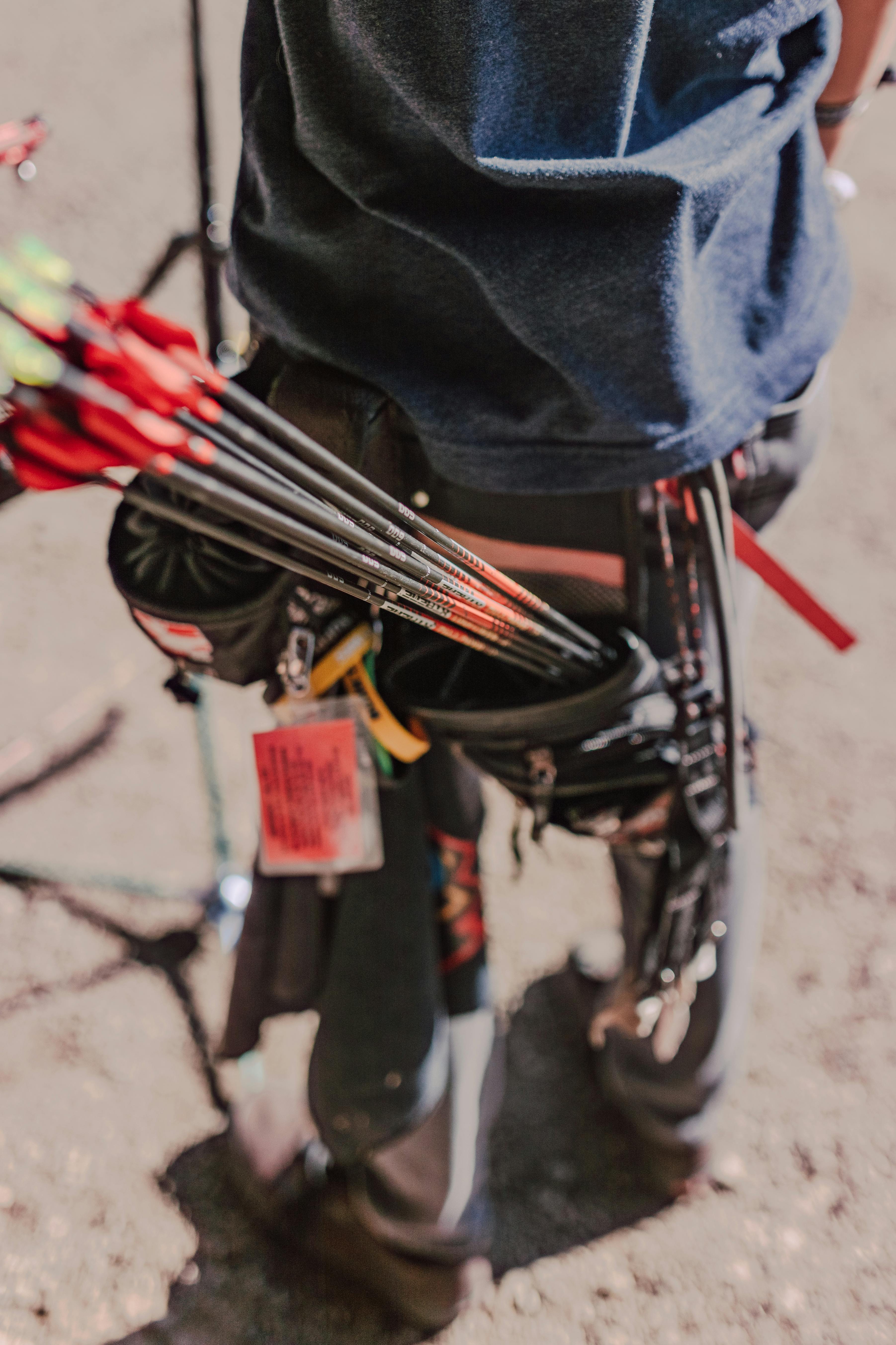 200+ Best Instinct Photos · 100% Free Download · Pexels Stock Photos