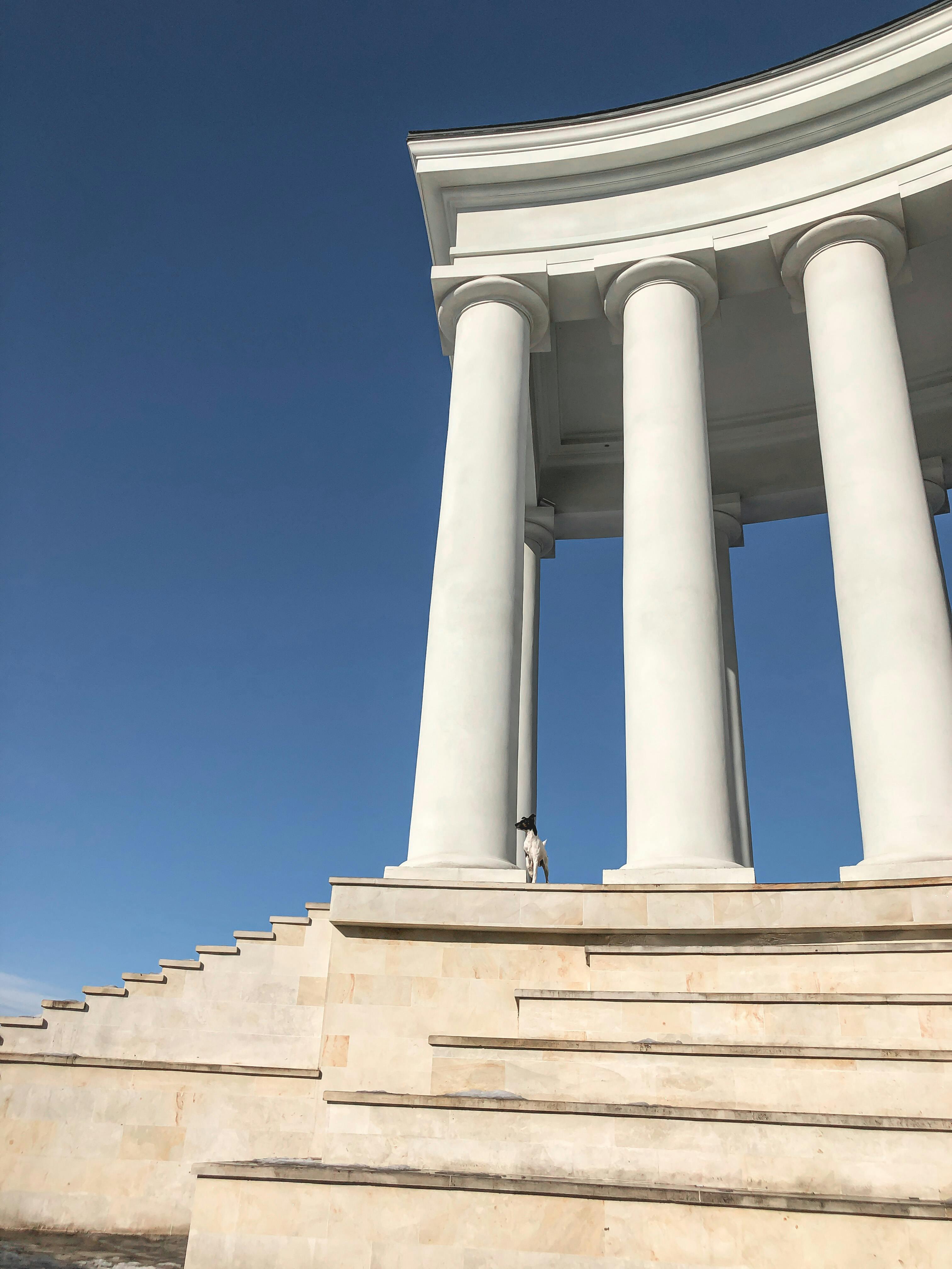Stairs to Building with Columns · Free Stock Photo