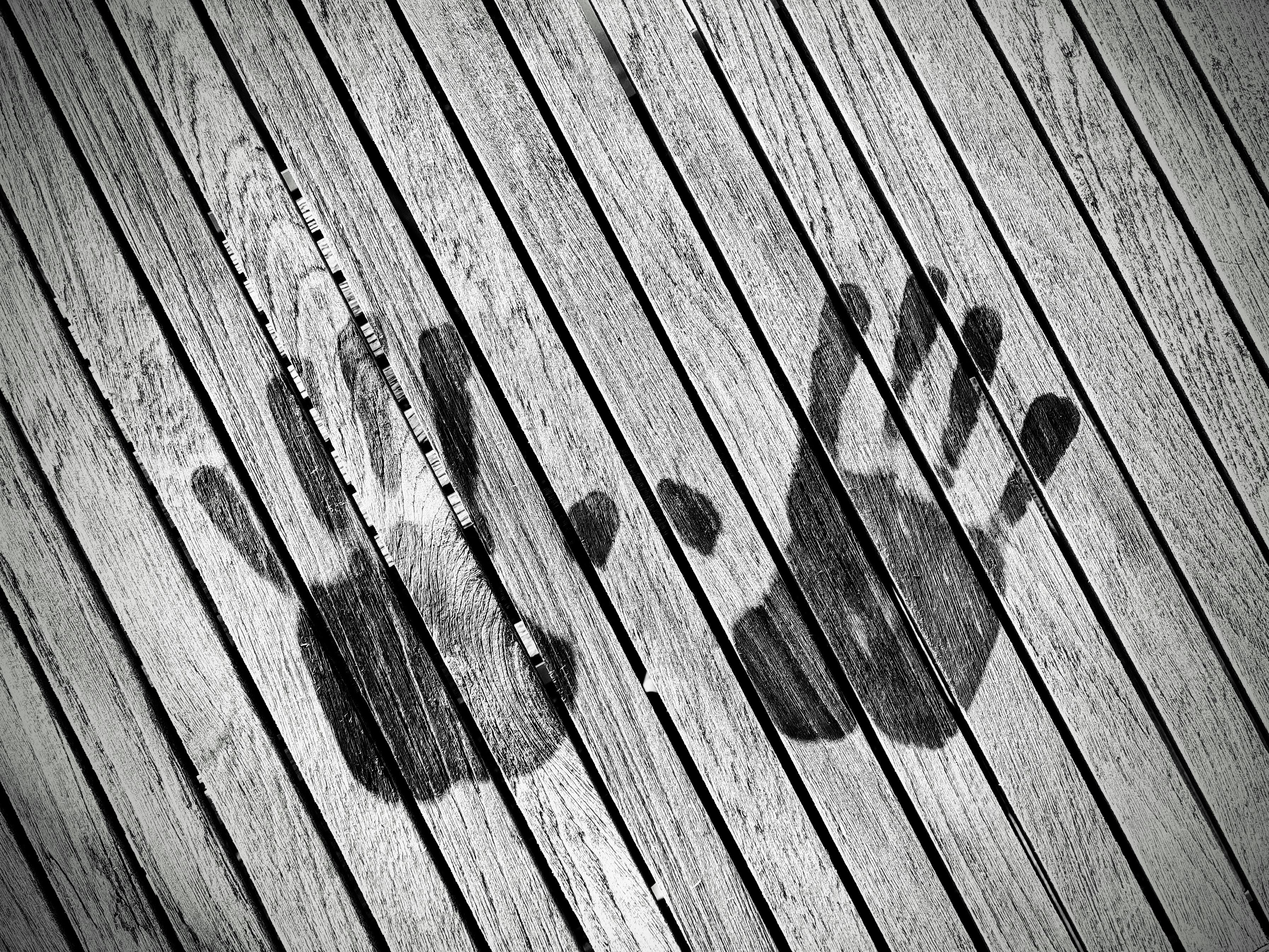 Handprints Photos, Download The BEST Free Handprints Stock Photos & HD ...