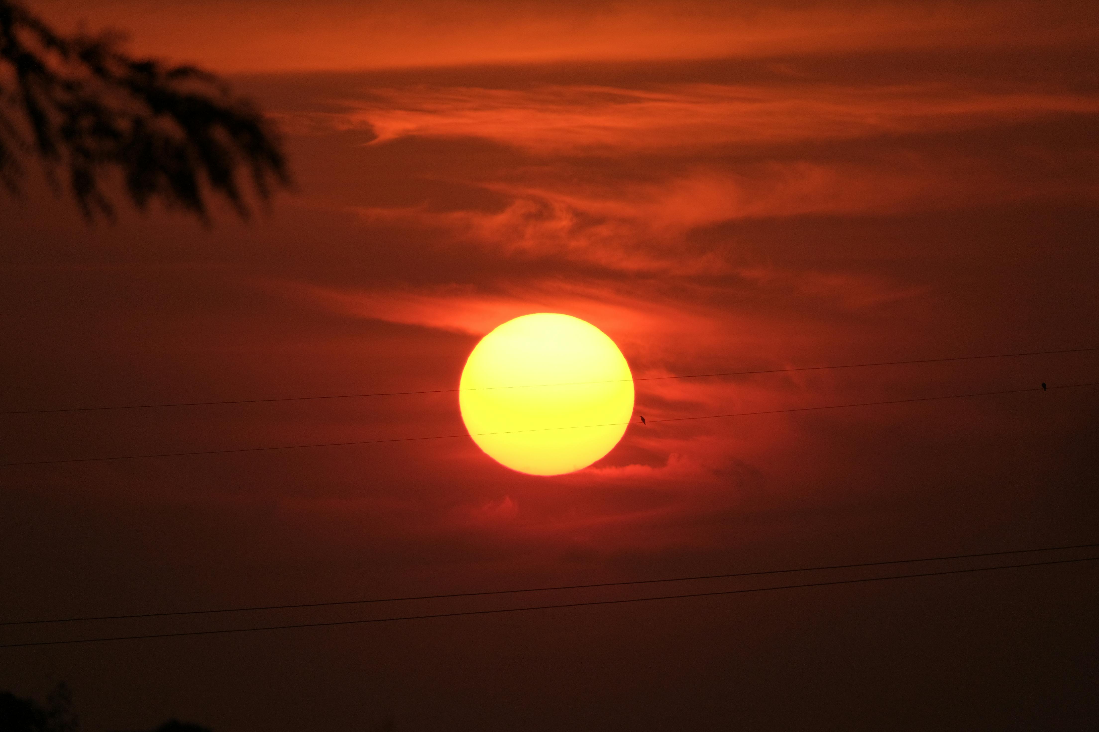 Sharafat Ali Shawkat - Photography