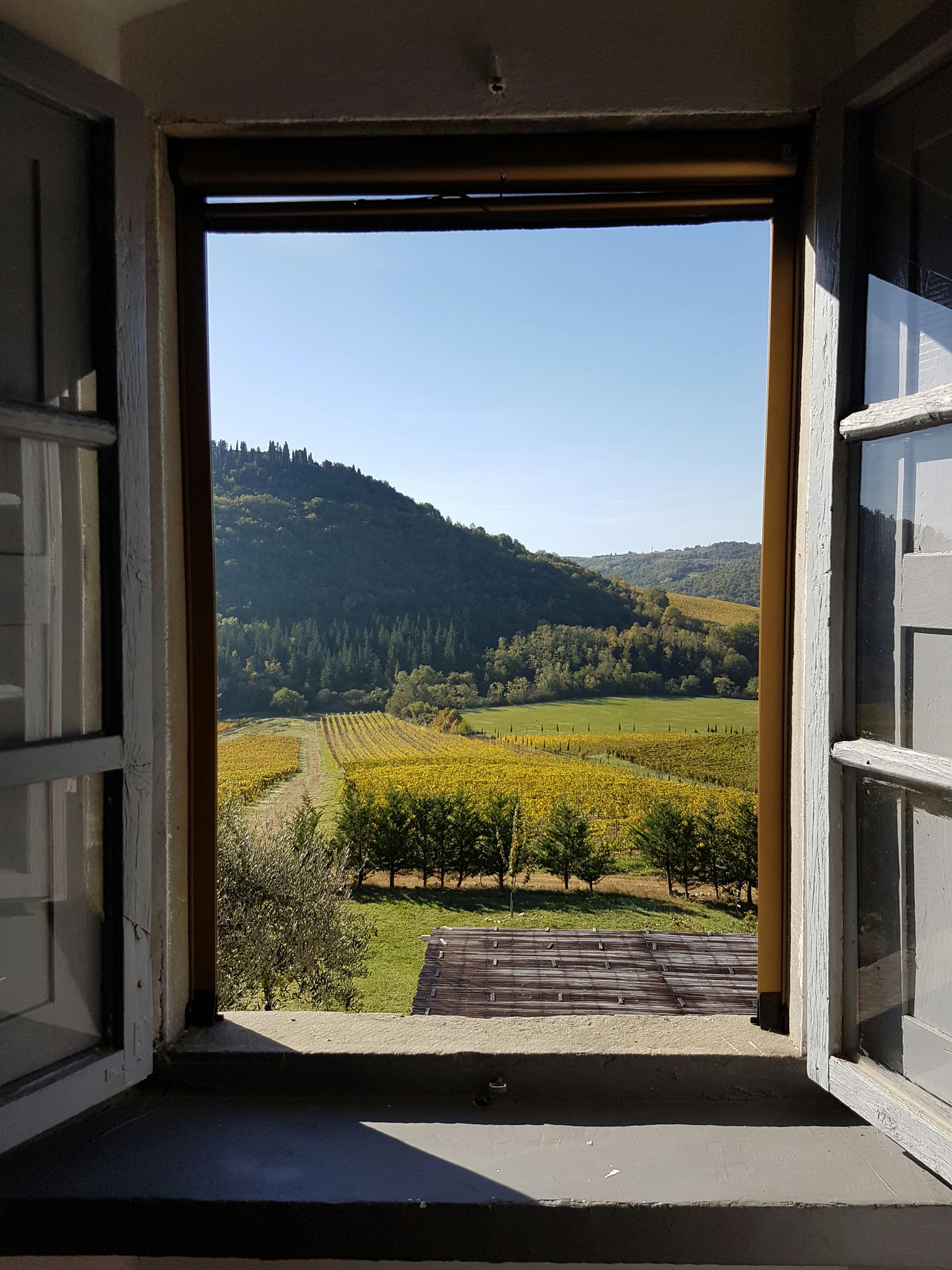 Garden View From Window Photos, Download The BEST Free Garden View From ...